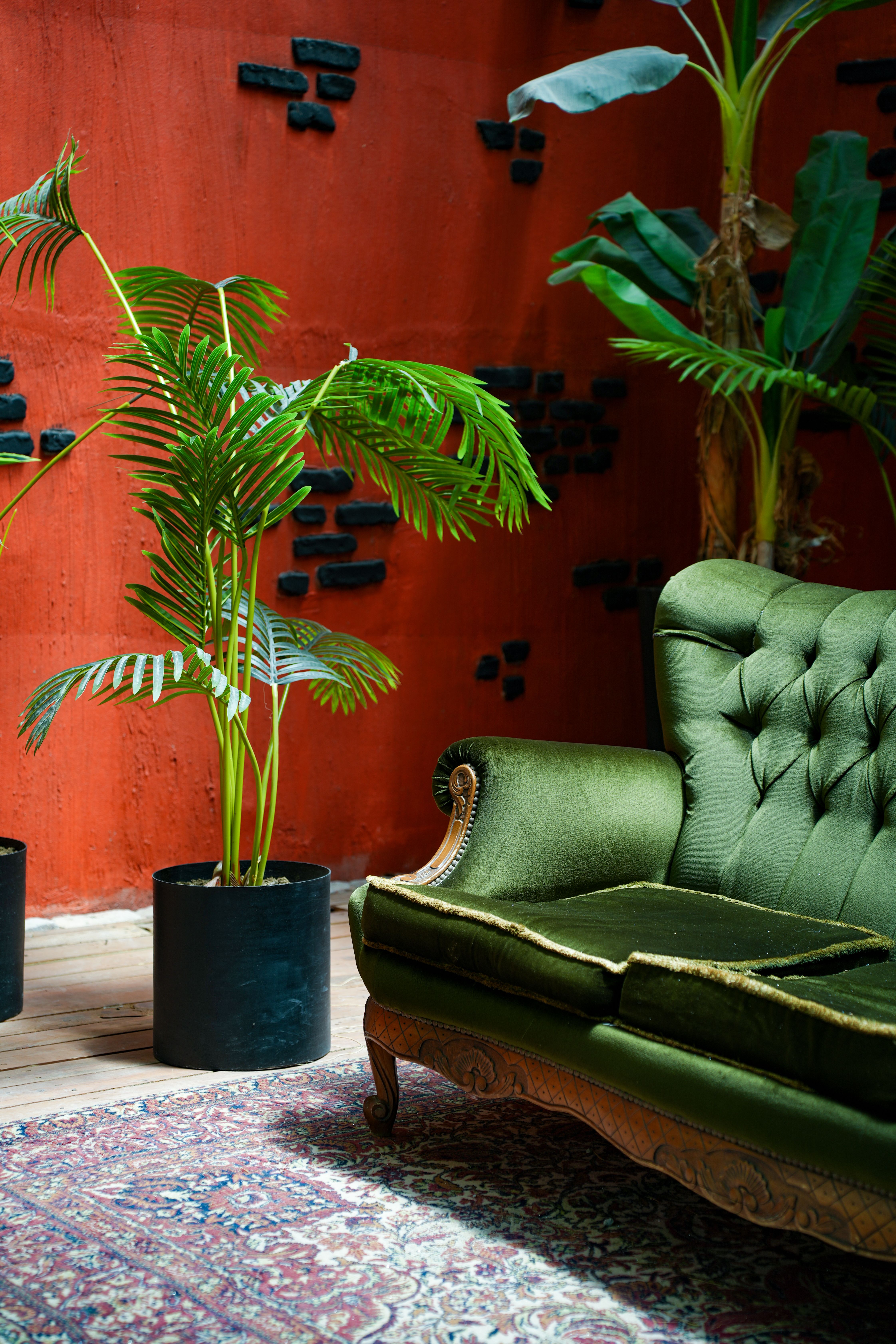Chic Indoor Lounge with Green Sofa and Plants · Free Stock Photo