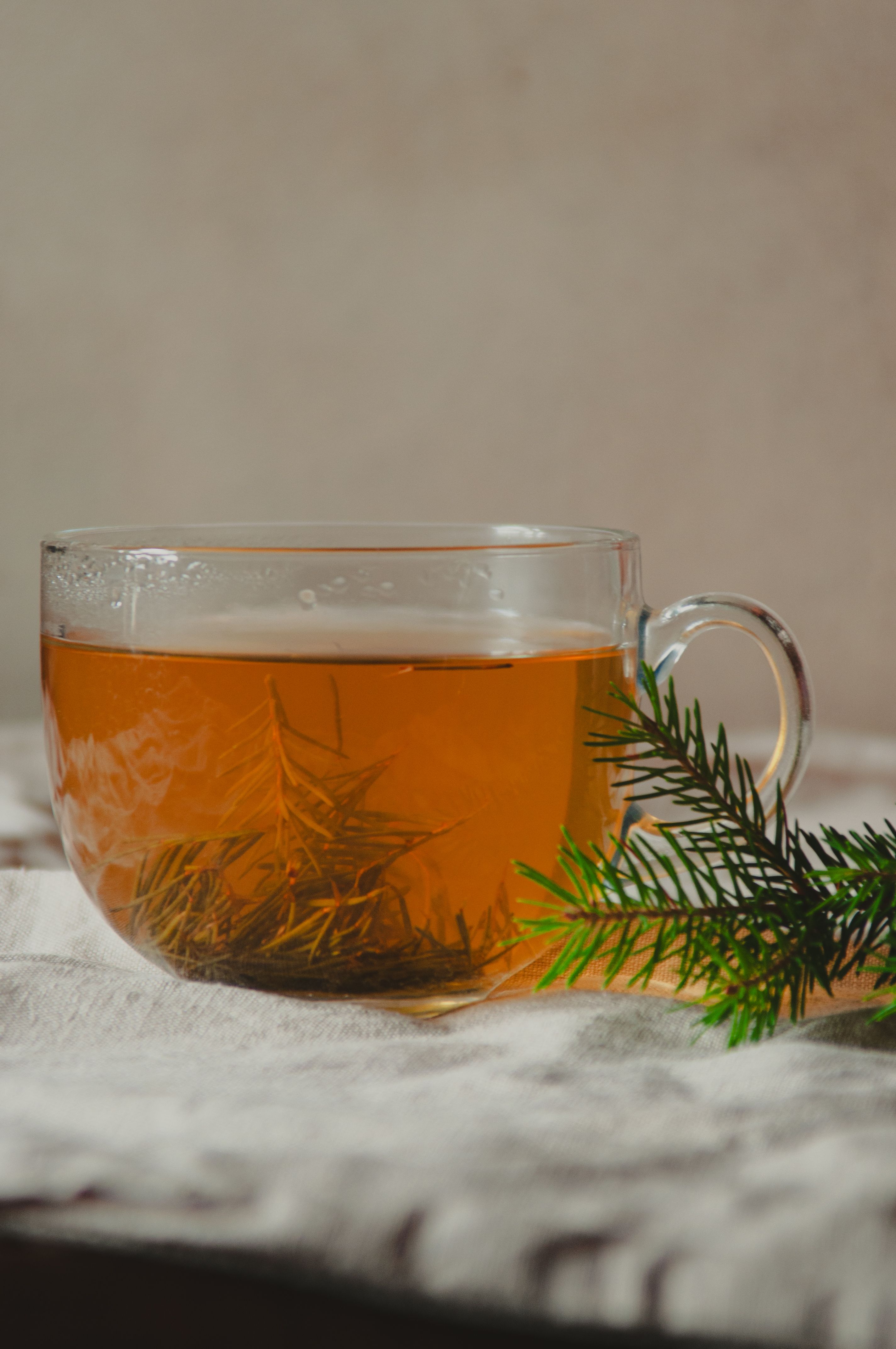 Clear Glass Cup with Herbal Tea and Spruce · Free Stock Photo