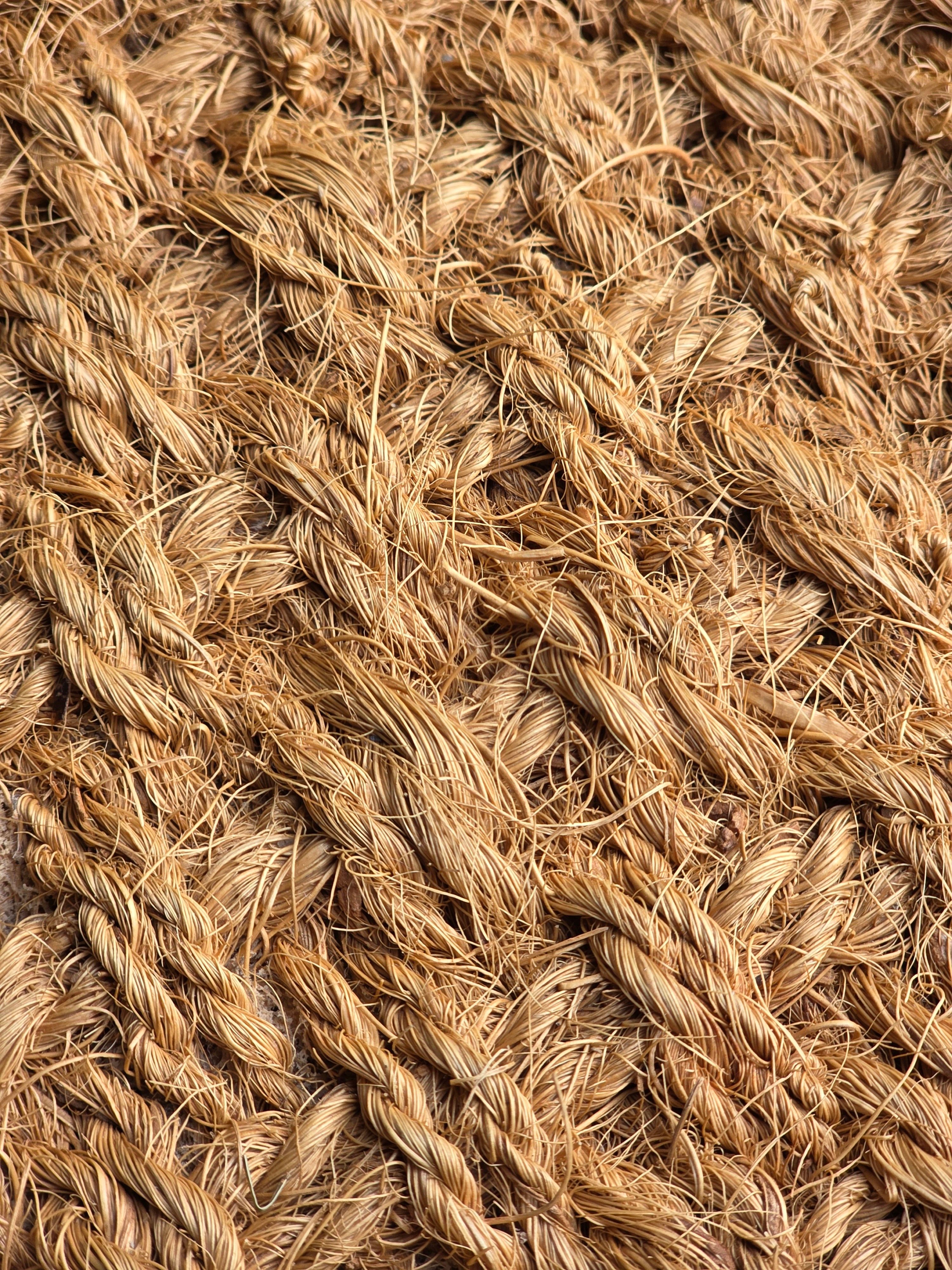 Rope Texture Photos, Download The BEST Free Rope Texture Stock Photos ...