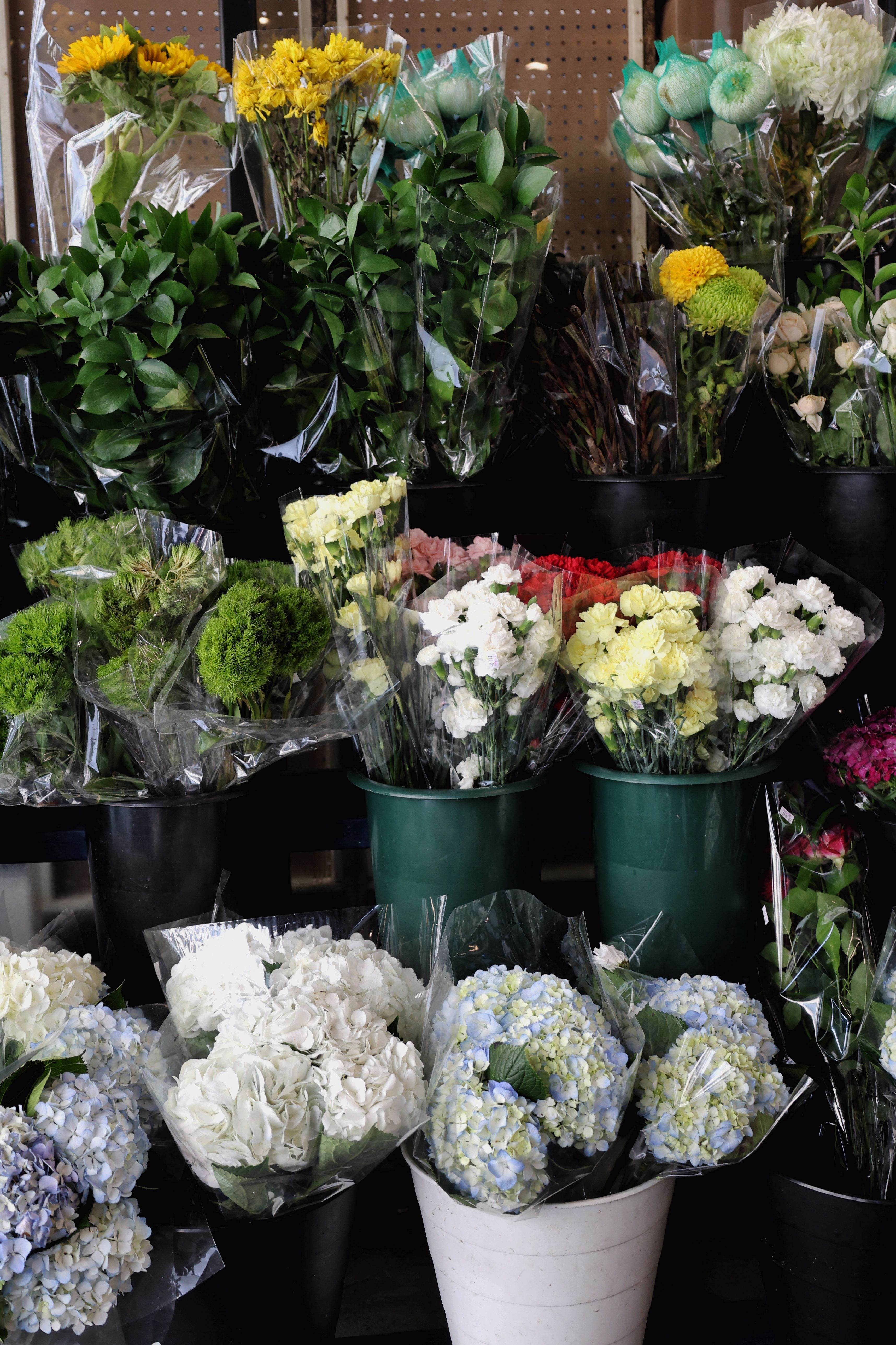 Abundance of Flowers · Free Stock Photo