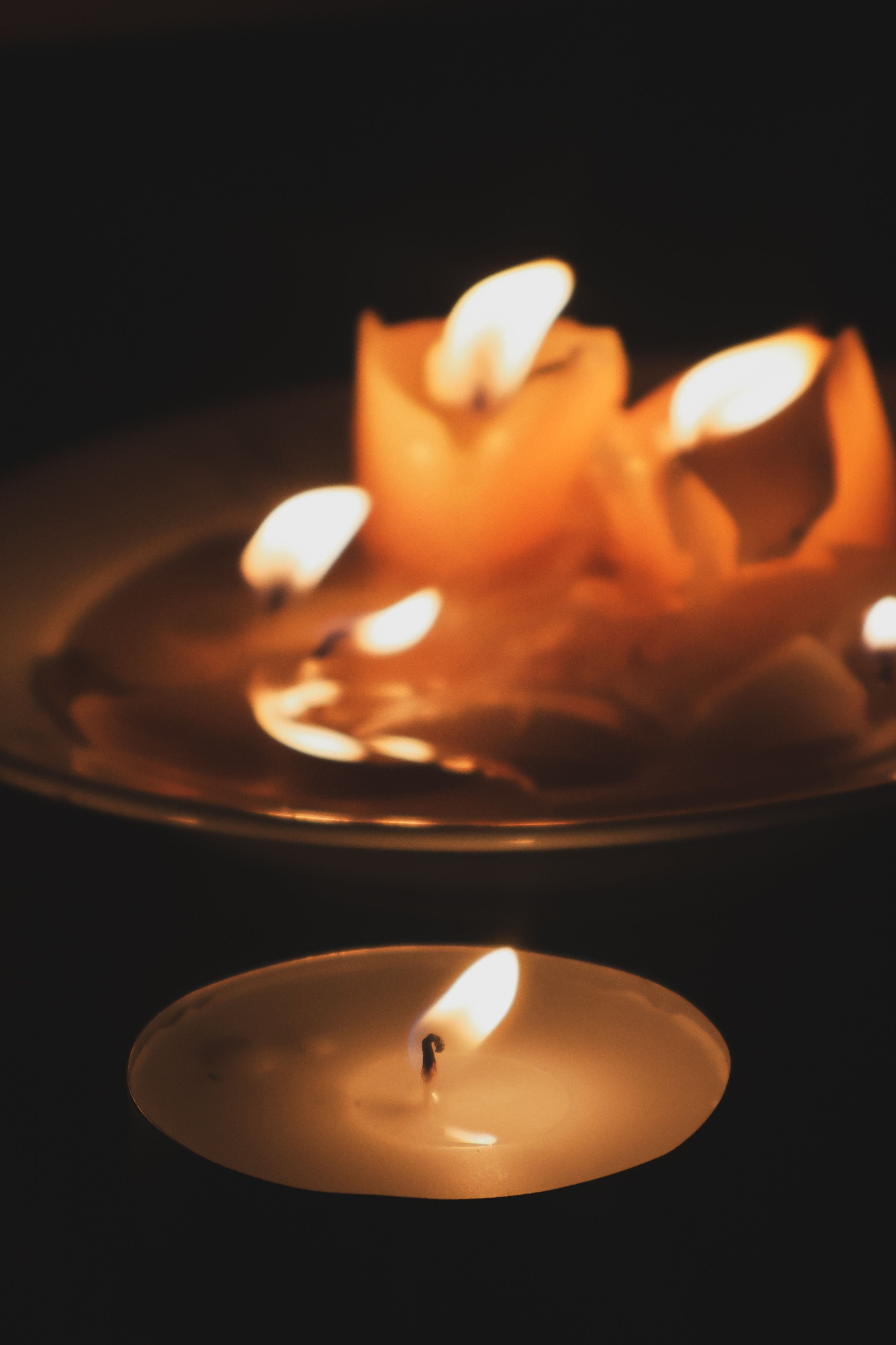 Lighted Candles Candles and Flowers for Diwali · Free Stock Photo