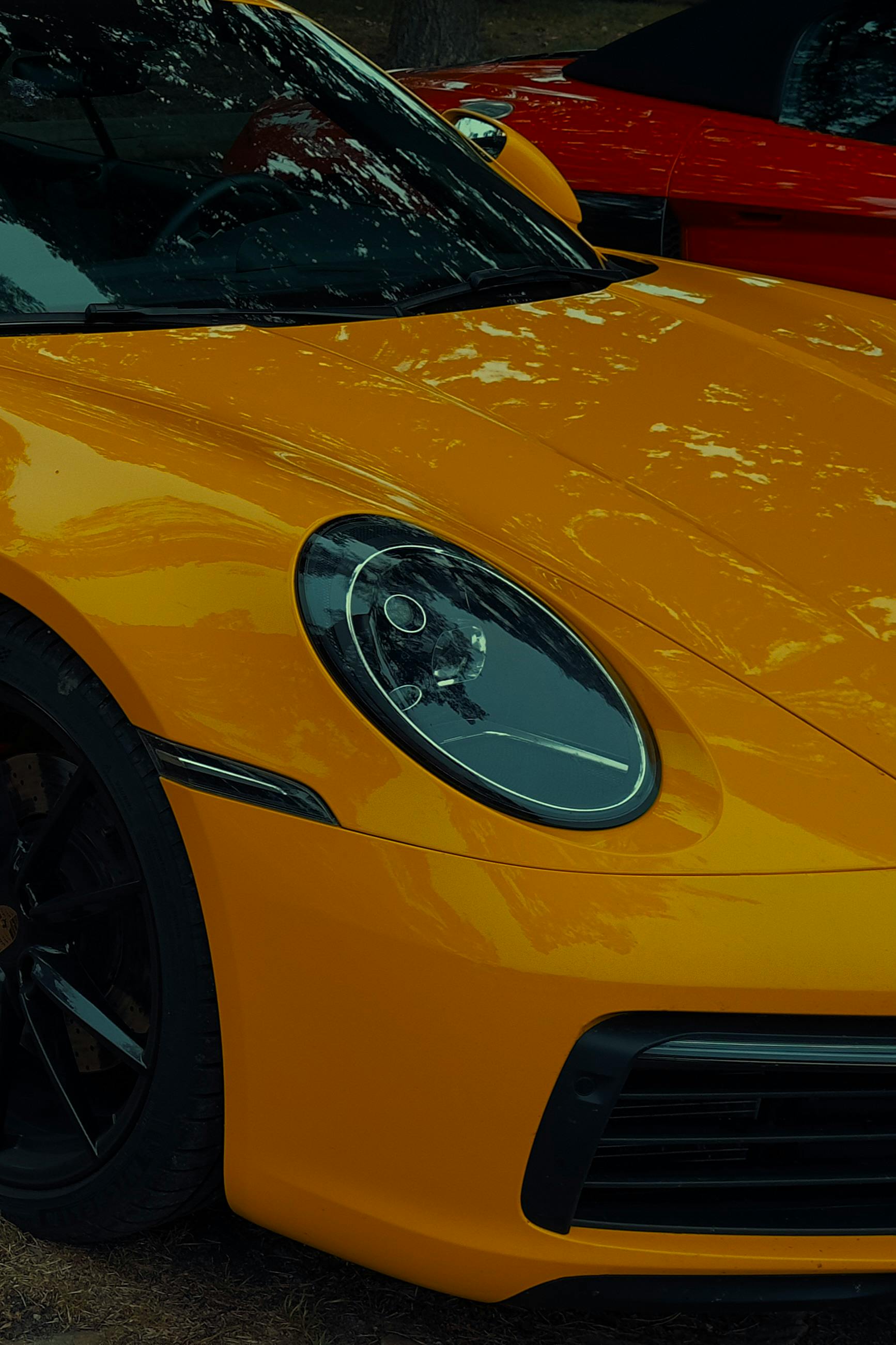 70.000+ Jo+and+judy+wallpaper Bilder und Fotos · Kostenlos Downloaden · Pexels Stock-Fotos