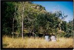 Forest Clearing Photos, Download The BEST Free Forest Clearing Stock ...