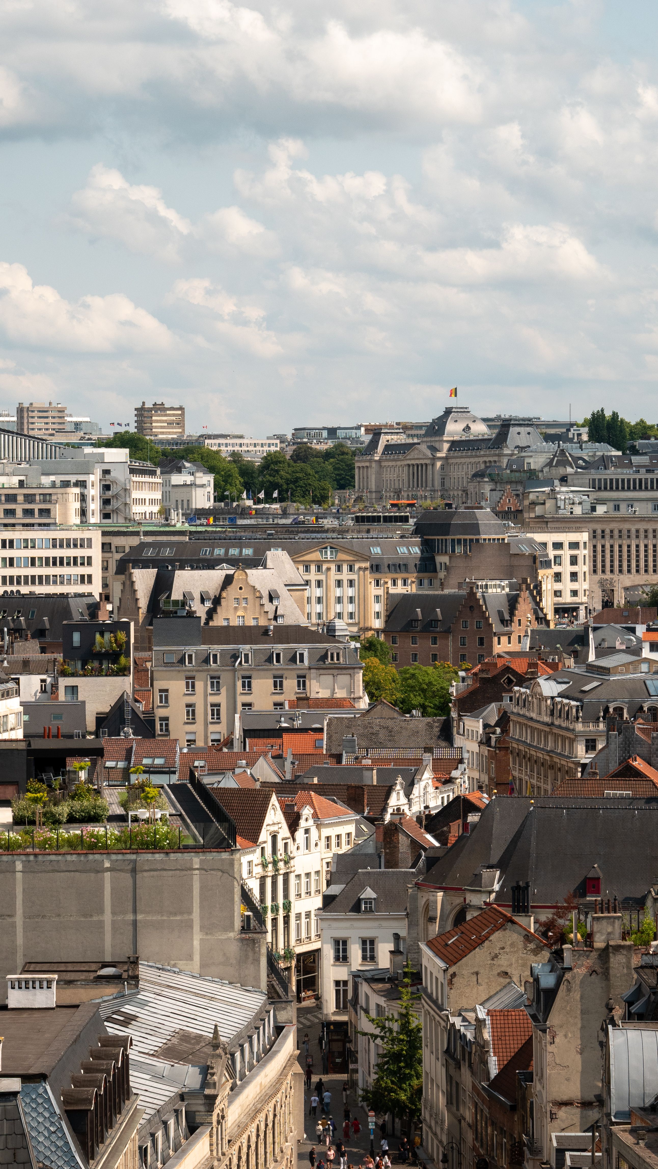 Panoramic View of Brussels Cityscape · Free Stock Photo