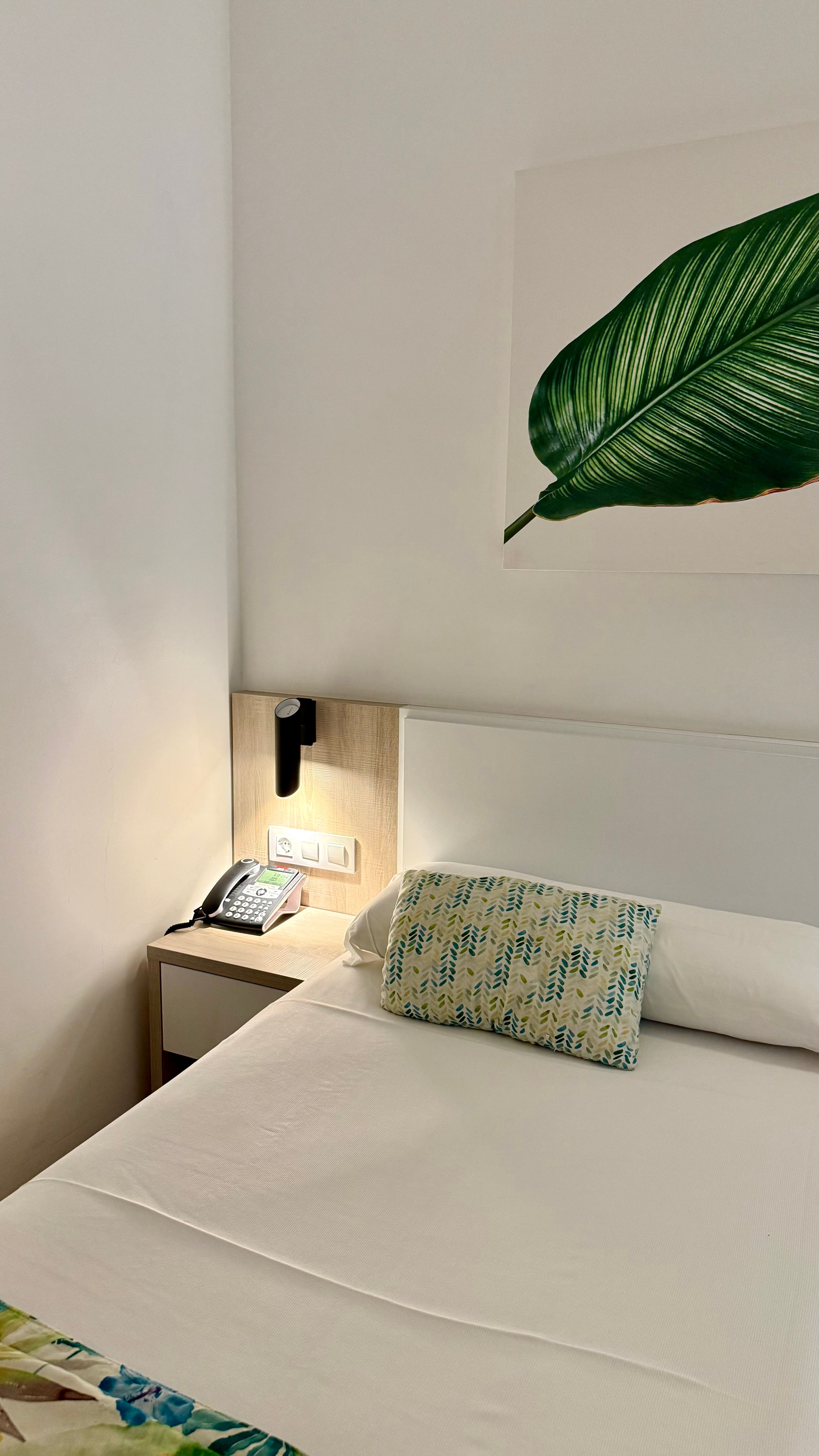 Modern Minimalist Hotel Room Interior · Free Stock Photo