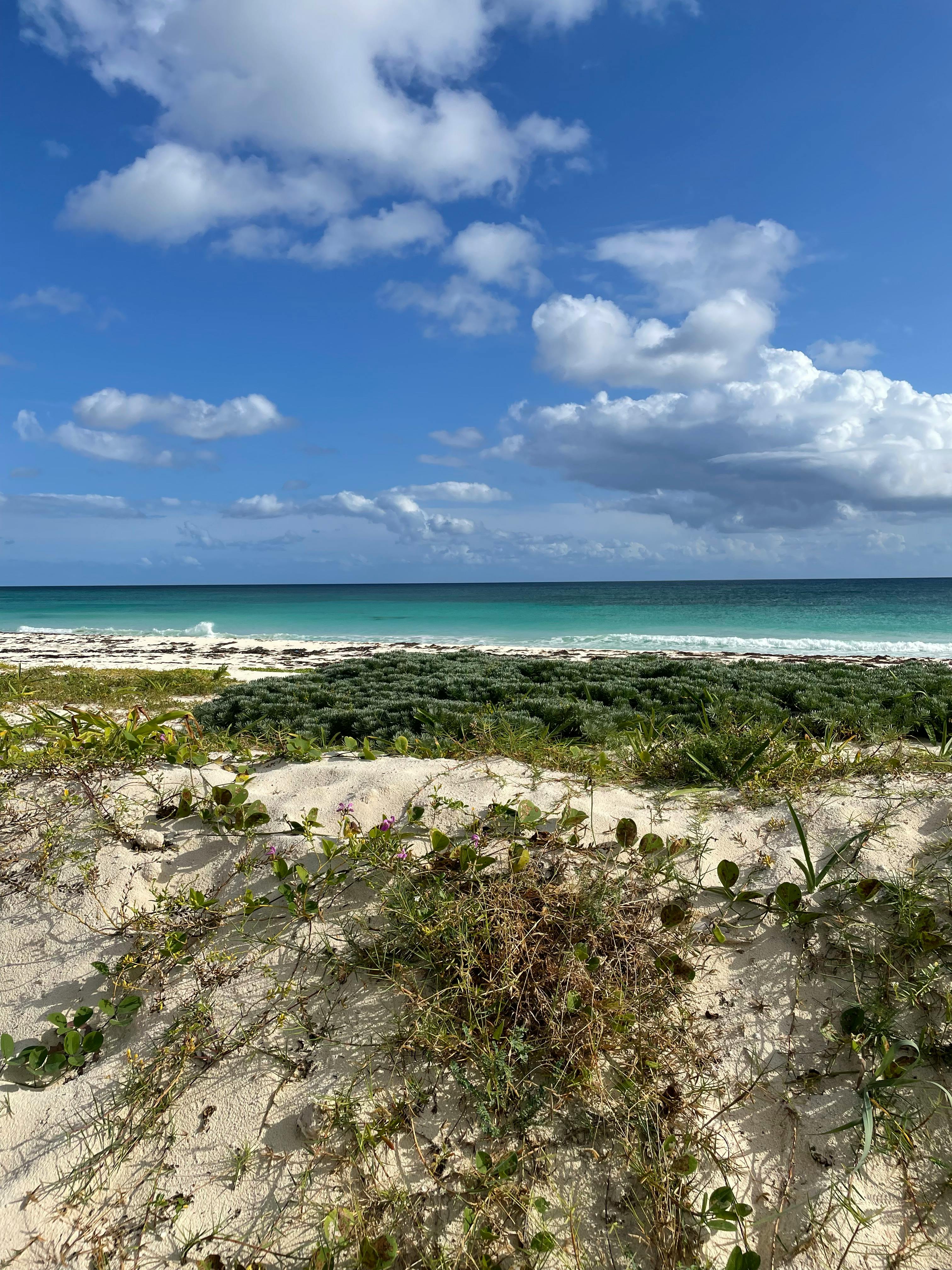 Free Stock Photos, Royalty Free Stock Images & Copyright Free Pictures ...