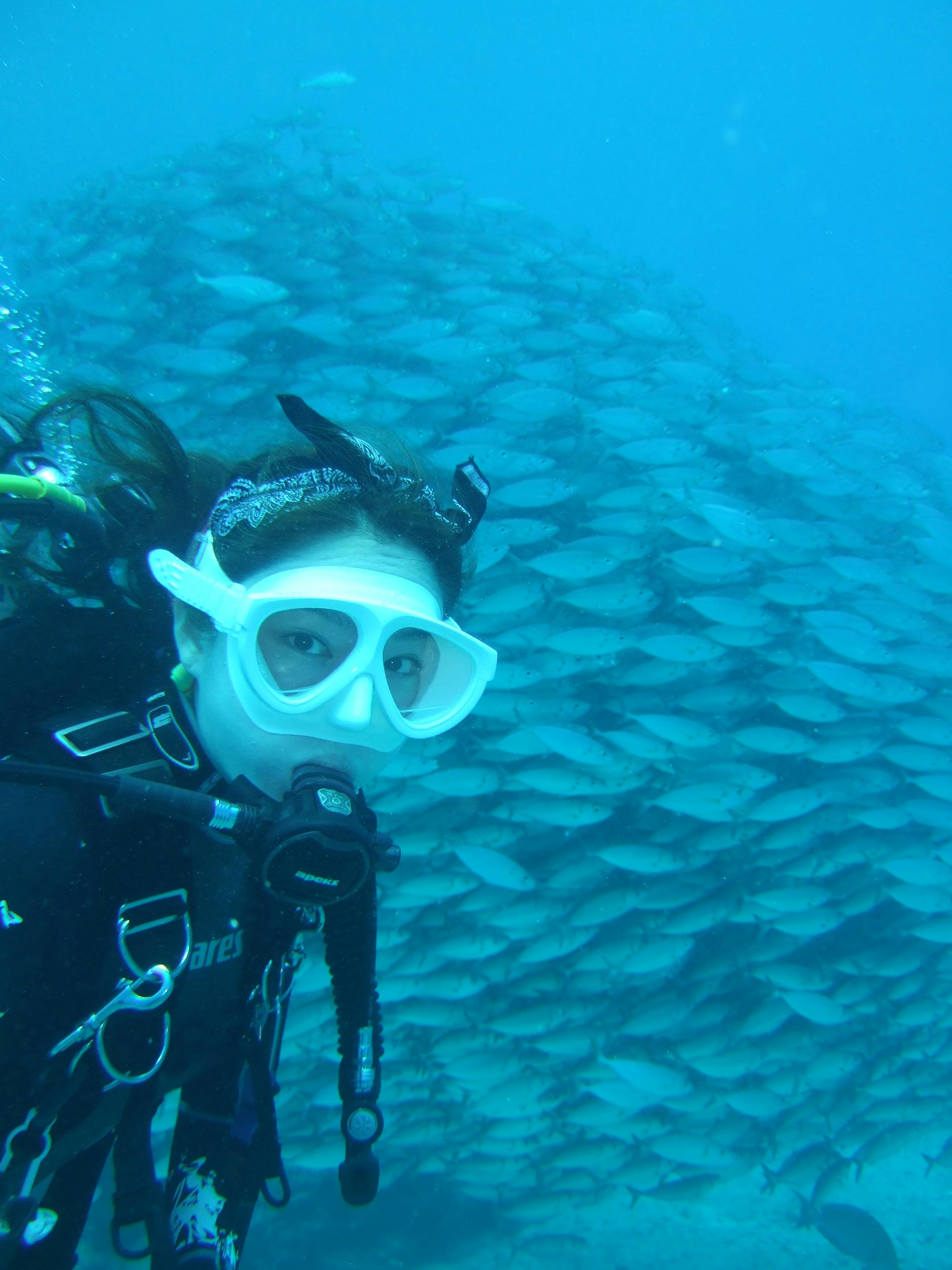 Nascar Tom Fish Photos, Download The BEST Free Nascar Tom Fish Stock ...