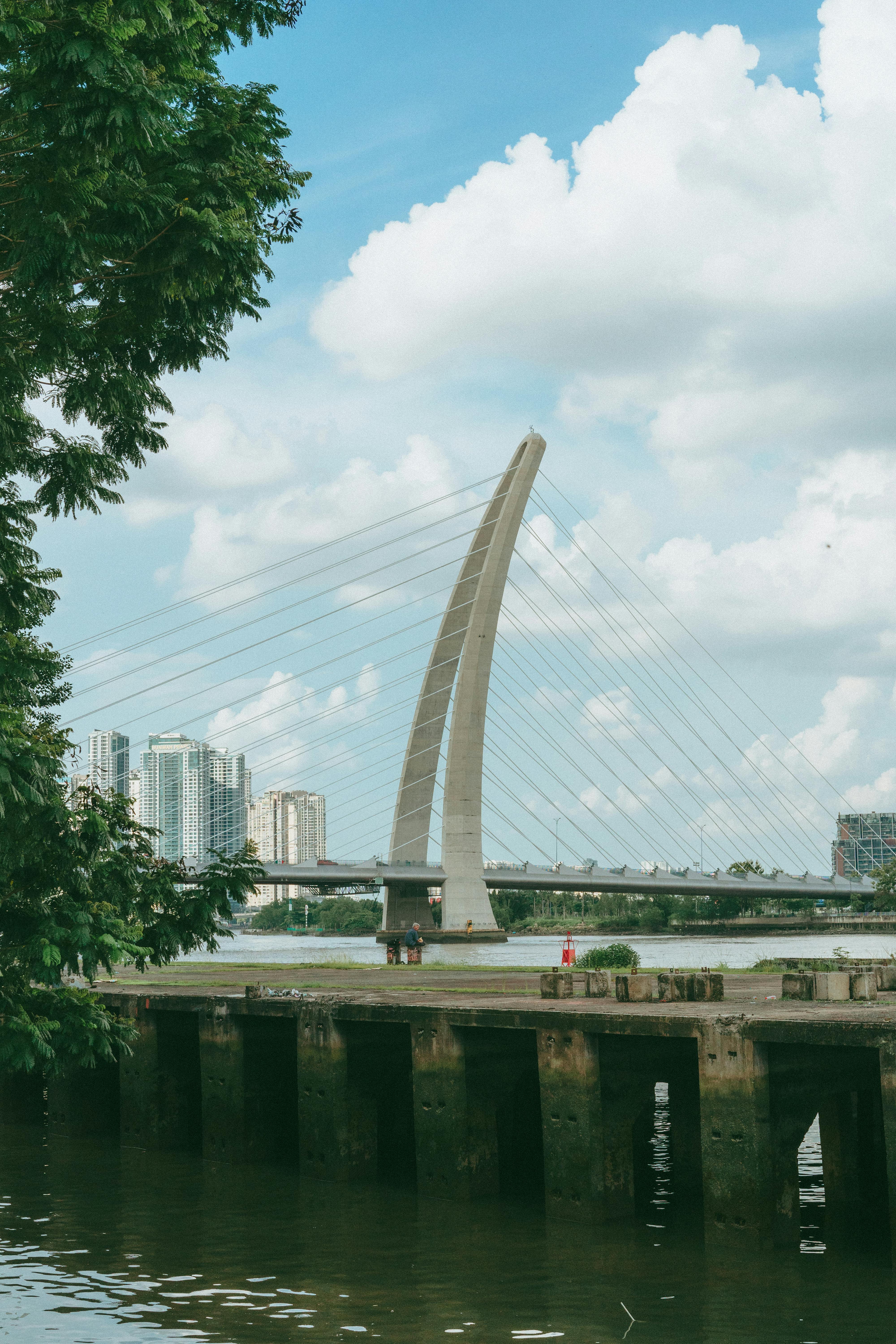 Trees In Plan View Photos, Download The BEST Free Trees In Plan View ...