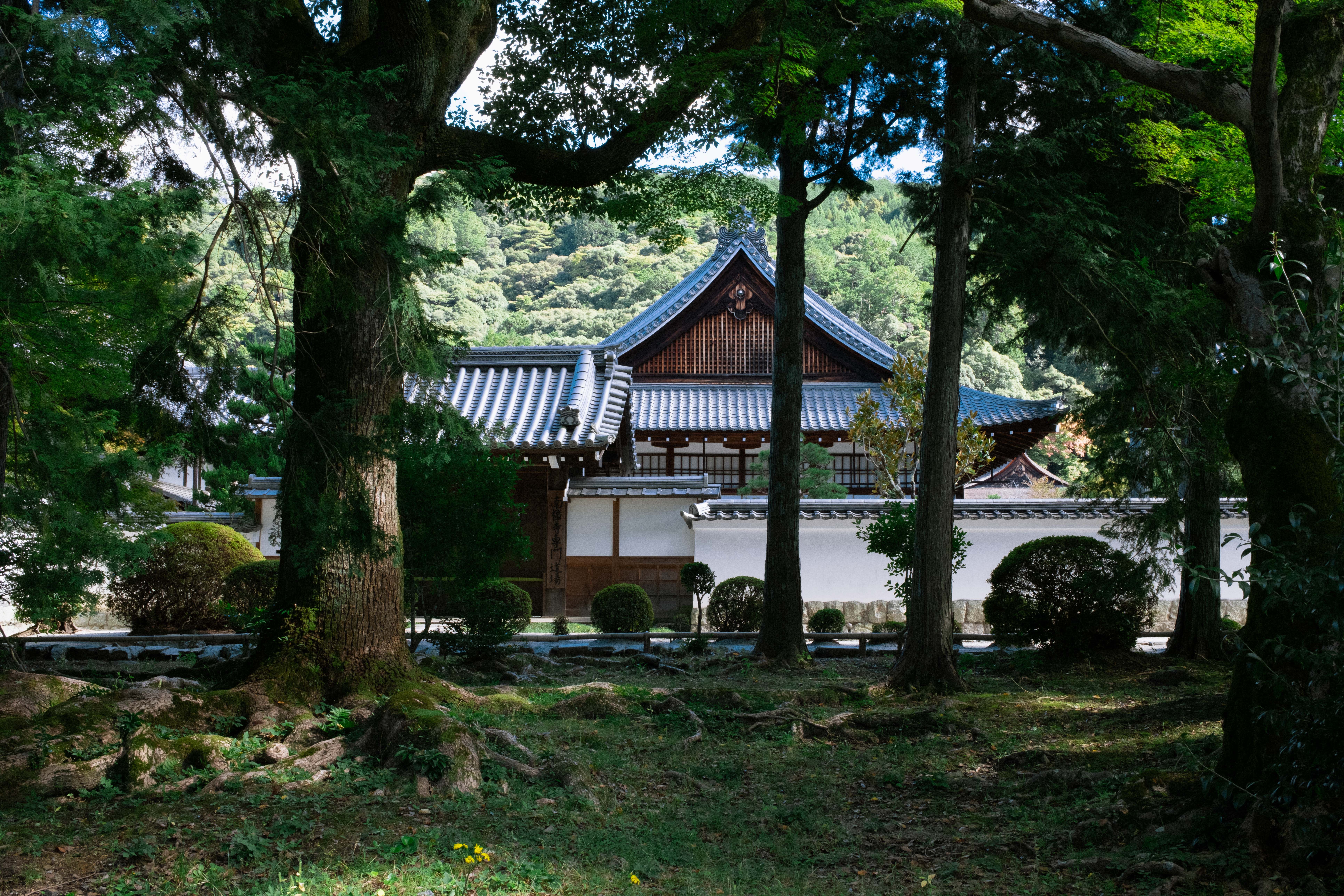 Traditional Japanese Temple in Kyoto Forest · Free Stock Photo