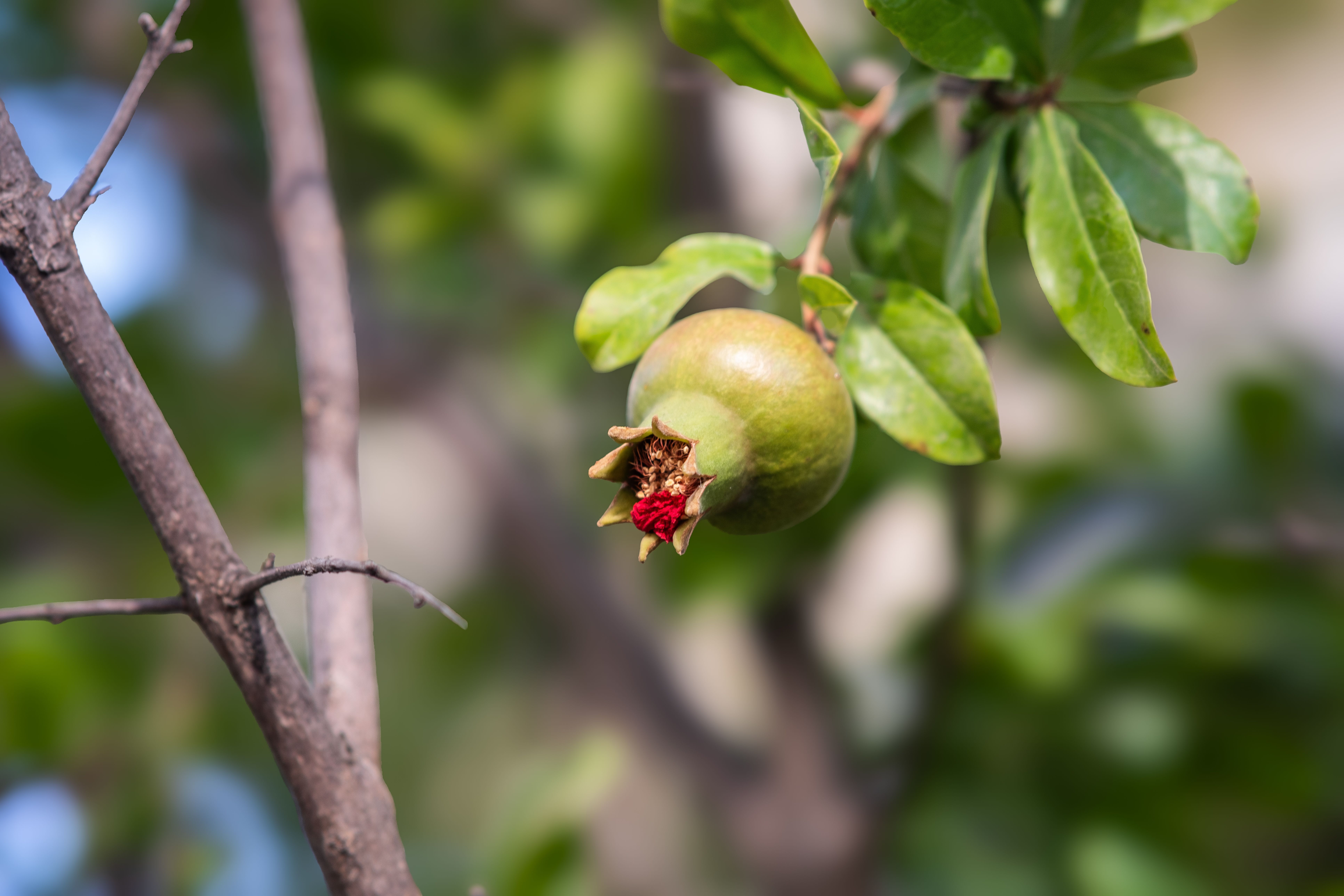 Jpg Size 15 Mb Photos, Download The BEST Free Jpg Size 15 Mb Stock ...