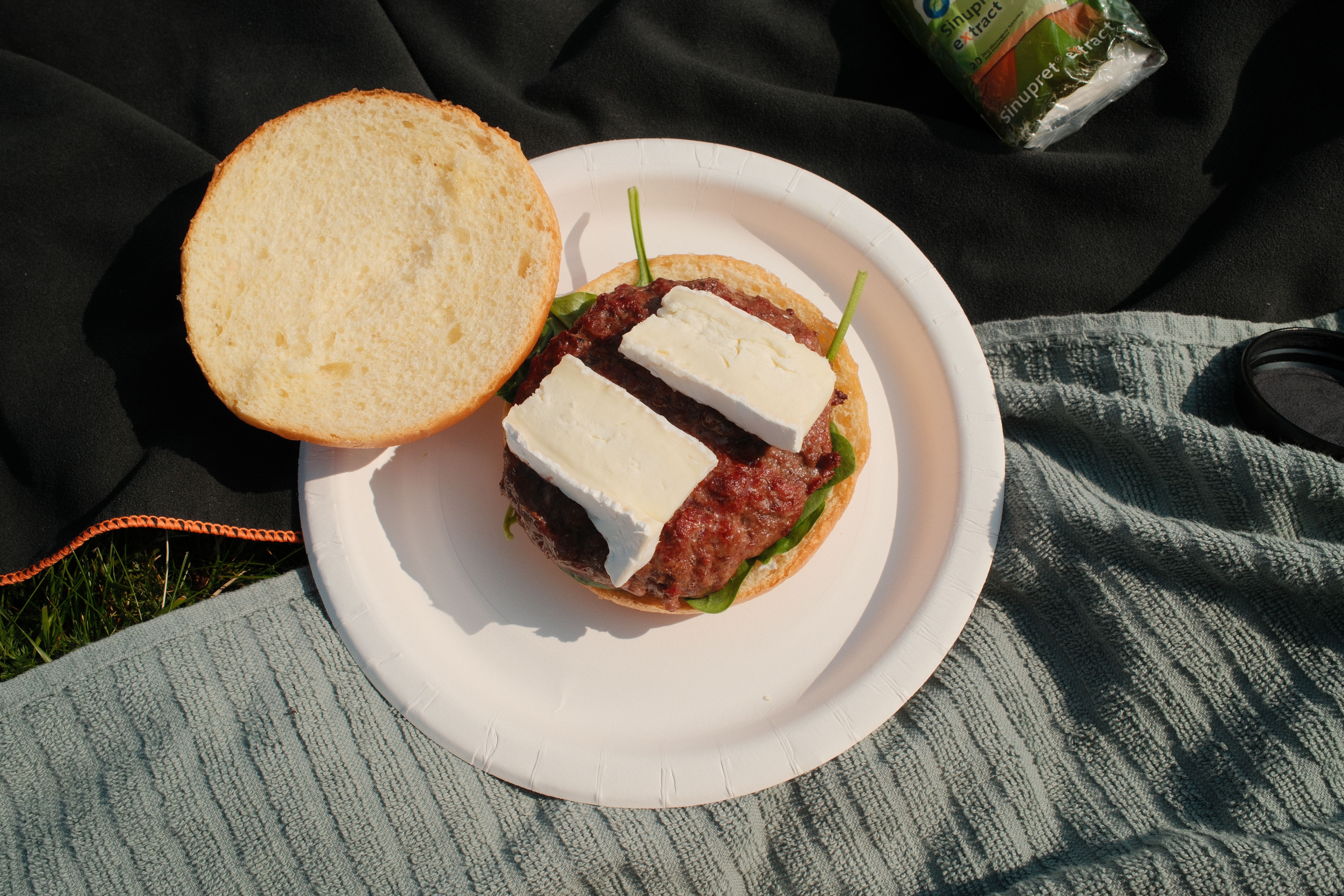 Gourmet Cheeseburger with Brie on Picnic Blanket · Free Stock Photo