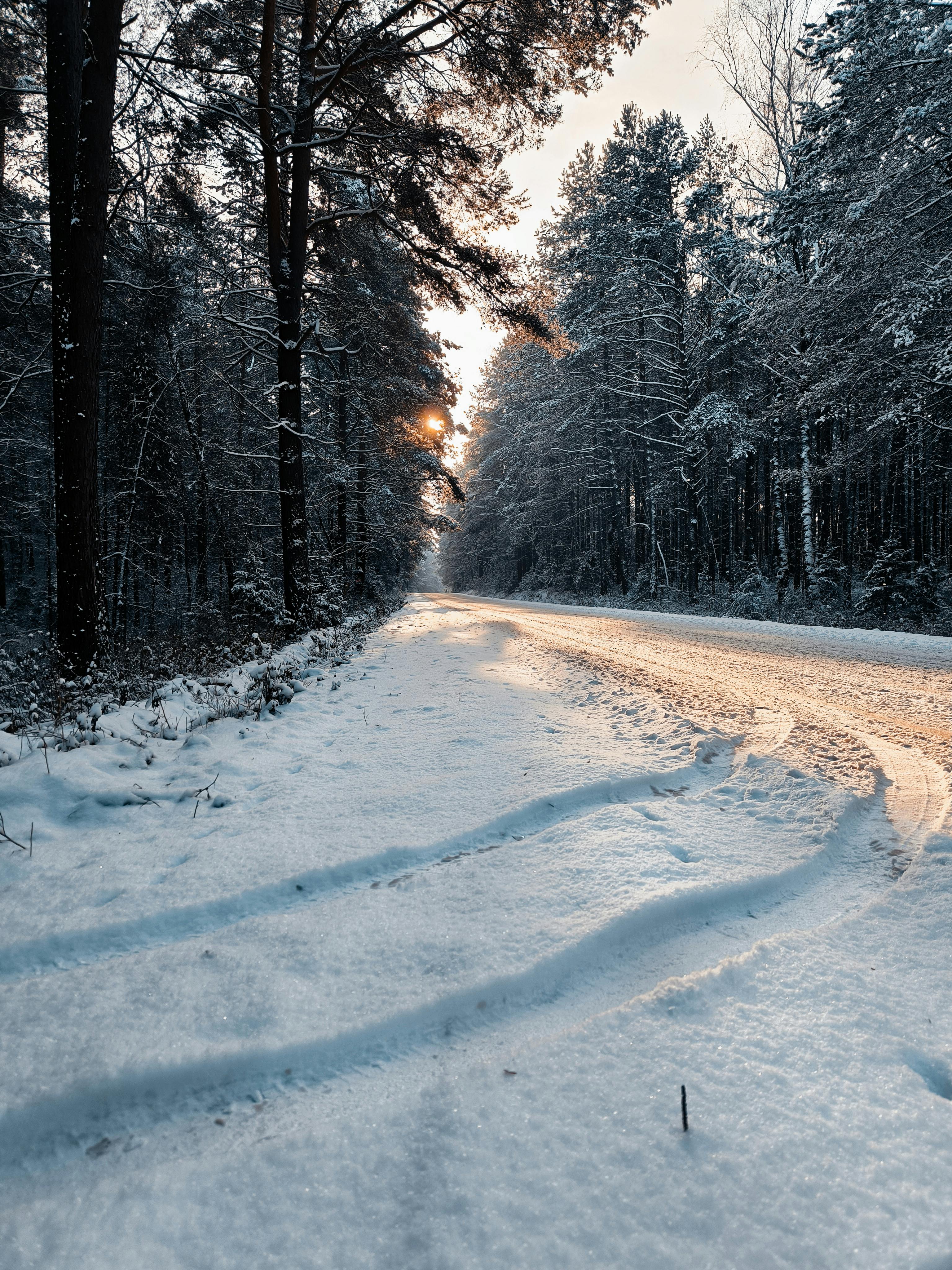 Безкоштовне стокове фото: västra götalands län, безтурботний ...