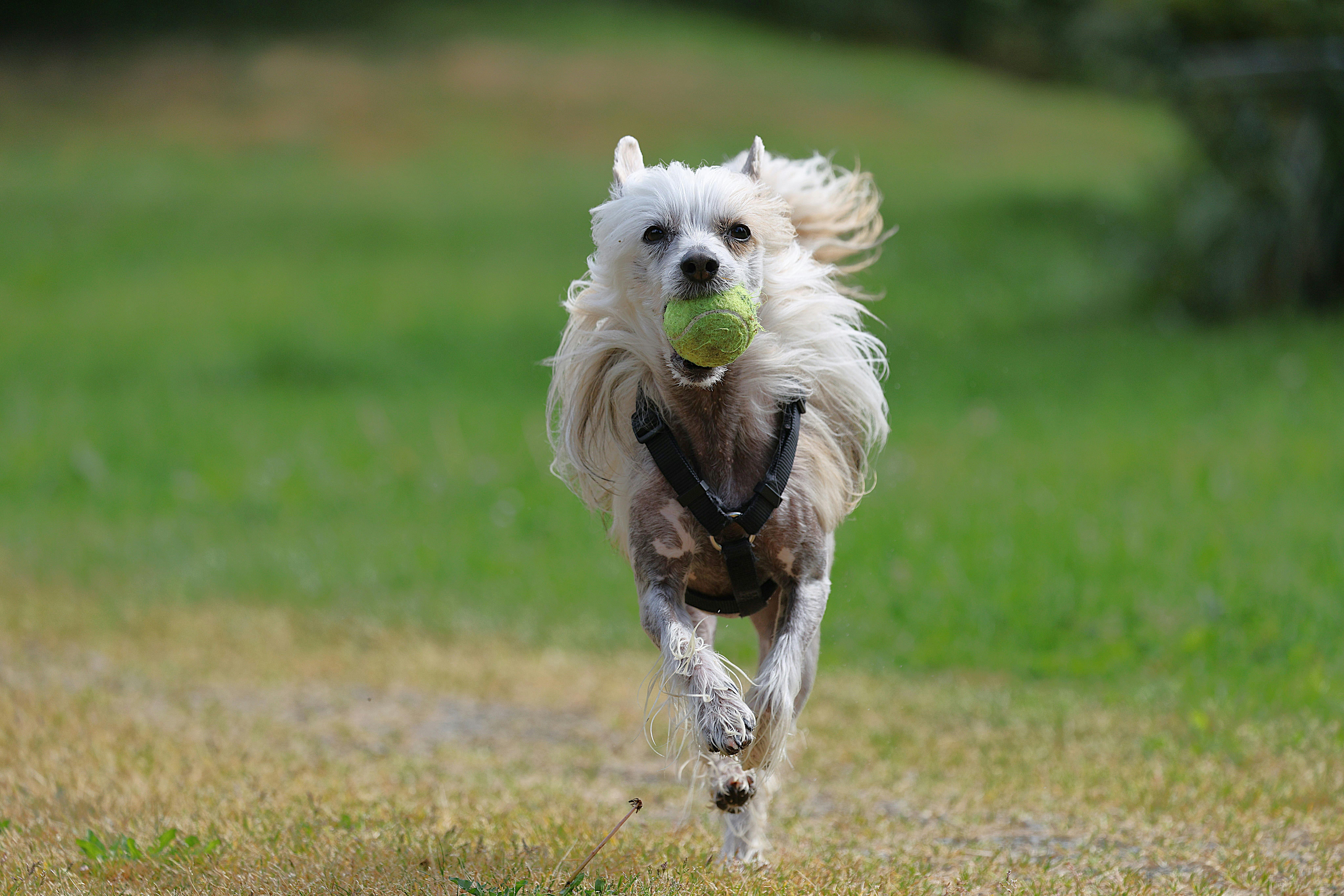 Action Uppermost Album Photos, Download The BEST Free Action Uppermost ...