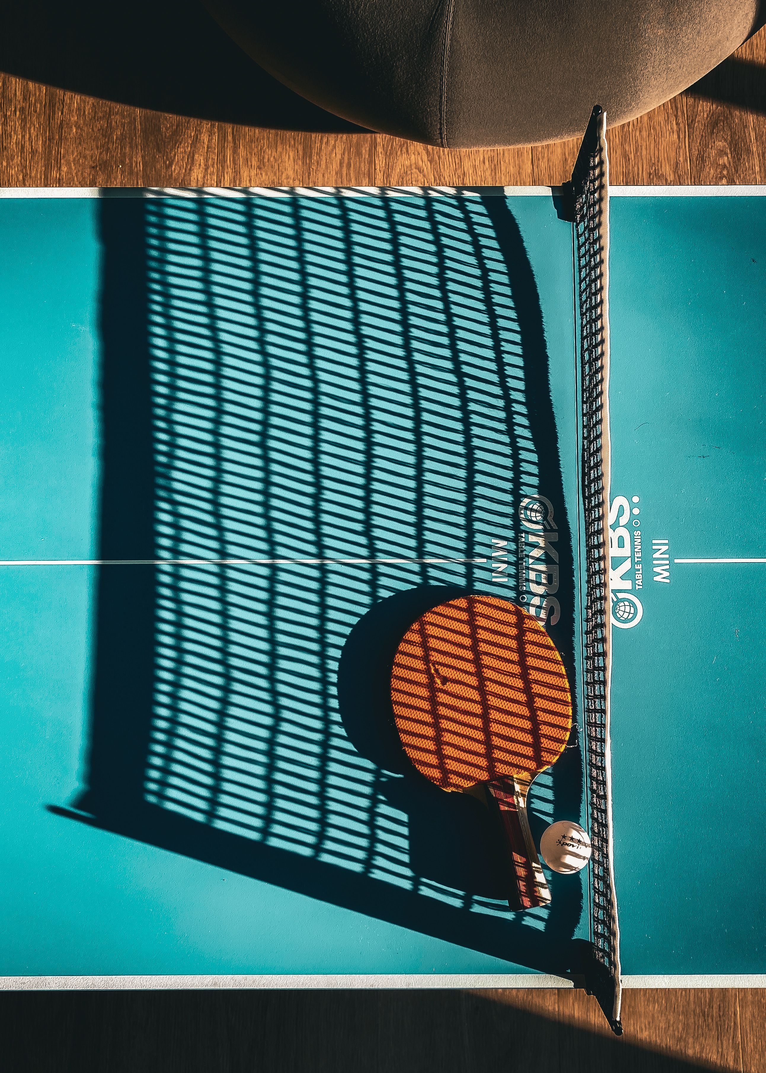Table Tennis Paddle and Ball with Net Shadow · Free Stock Photo