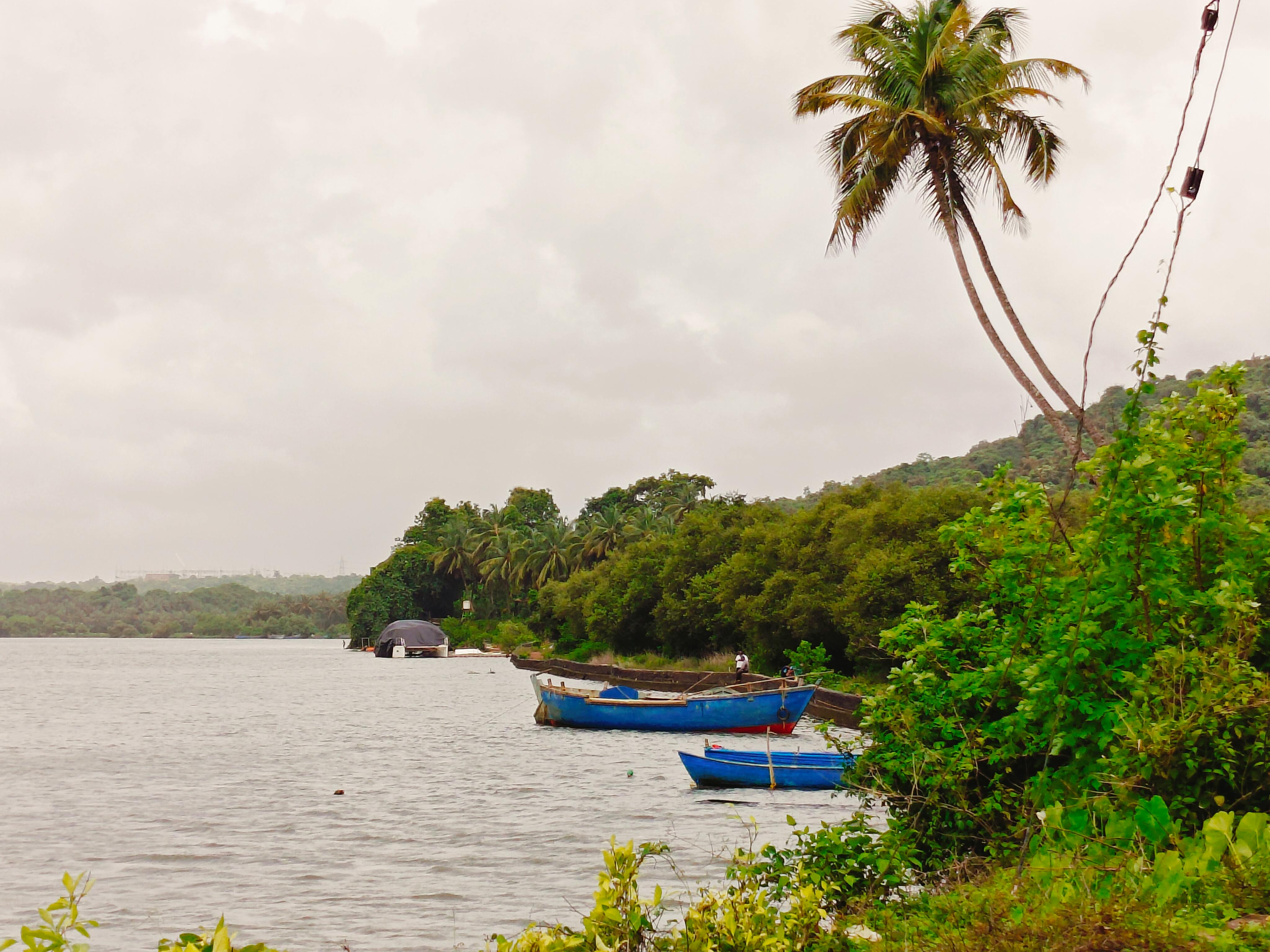 Tranquil River Scene with Boats in Siolim, Goa · Free Stock Photo