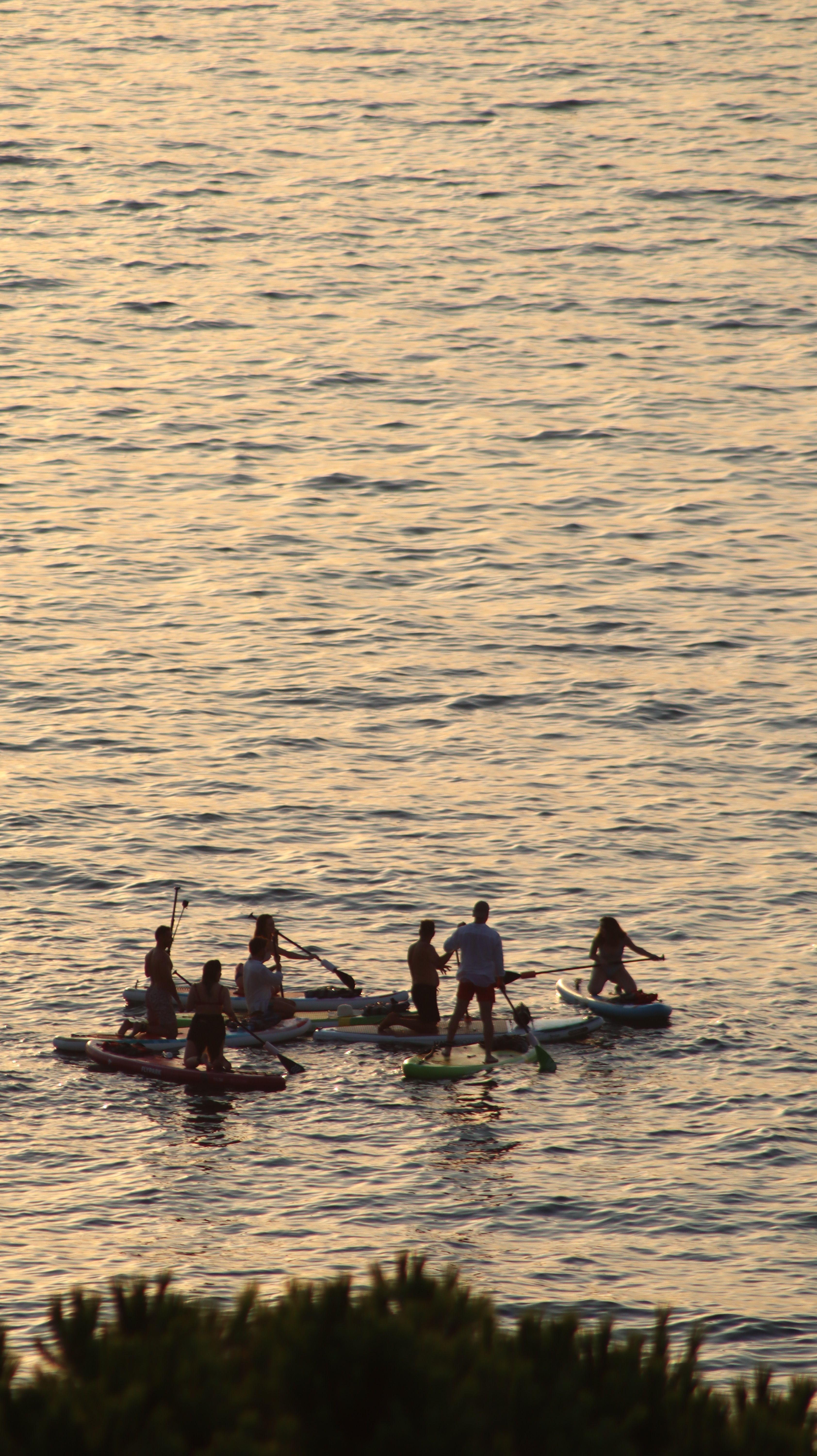 Group Paddleboarding at Sunset on Calm Sea · Free Stock Photo