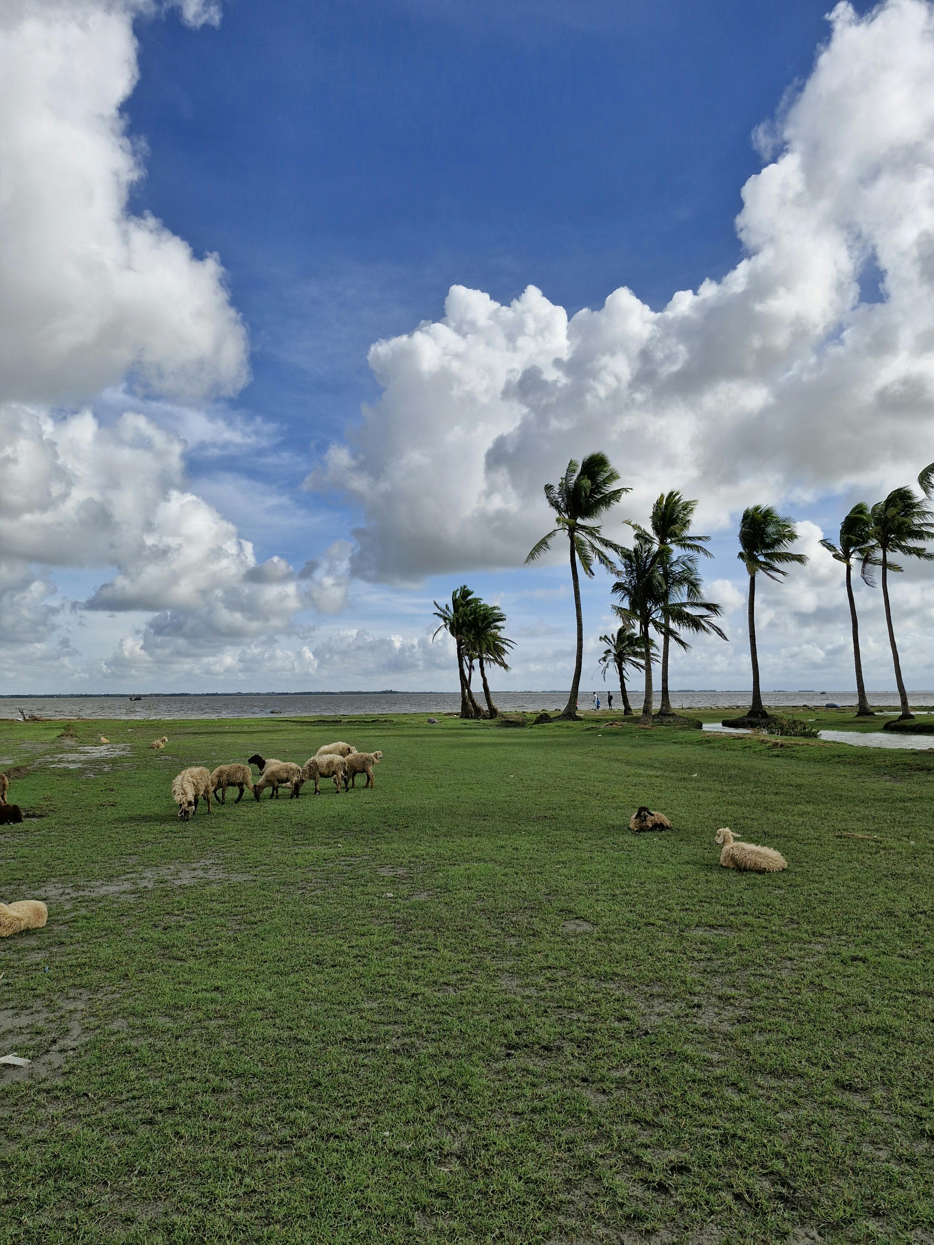 Draculin+Onlyfans+Video Photos, Download The BEST Free Draculin+Onlyfans+Video Stock Photos & HD ...