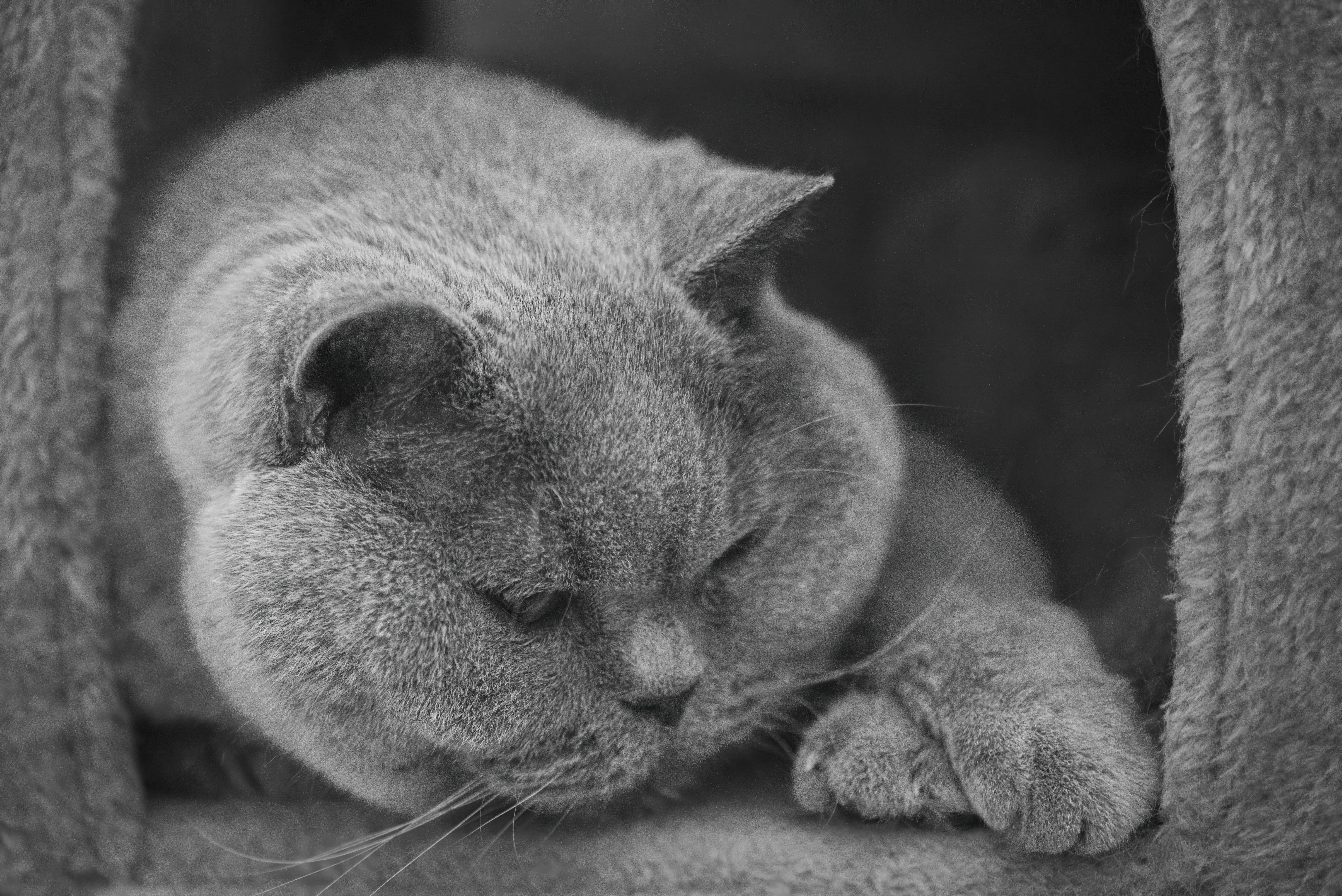Content Lsit Photos, Download The BEST Free Content Lsit Stock Photos ...