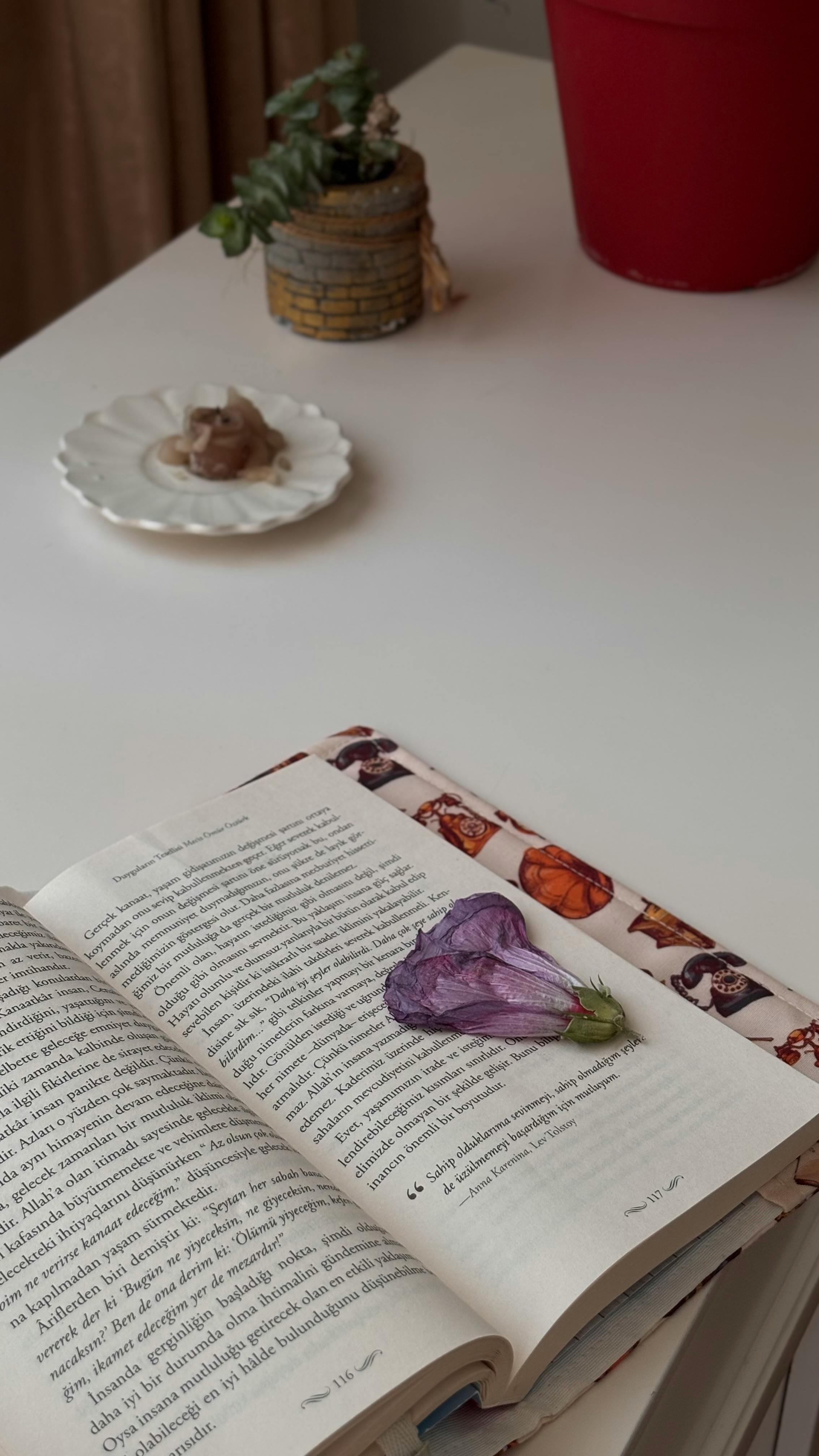 Waptrick Page Photos, Download The BEST Free Waptrick Page Stock Photos ...