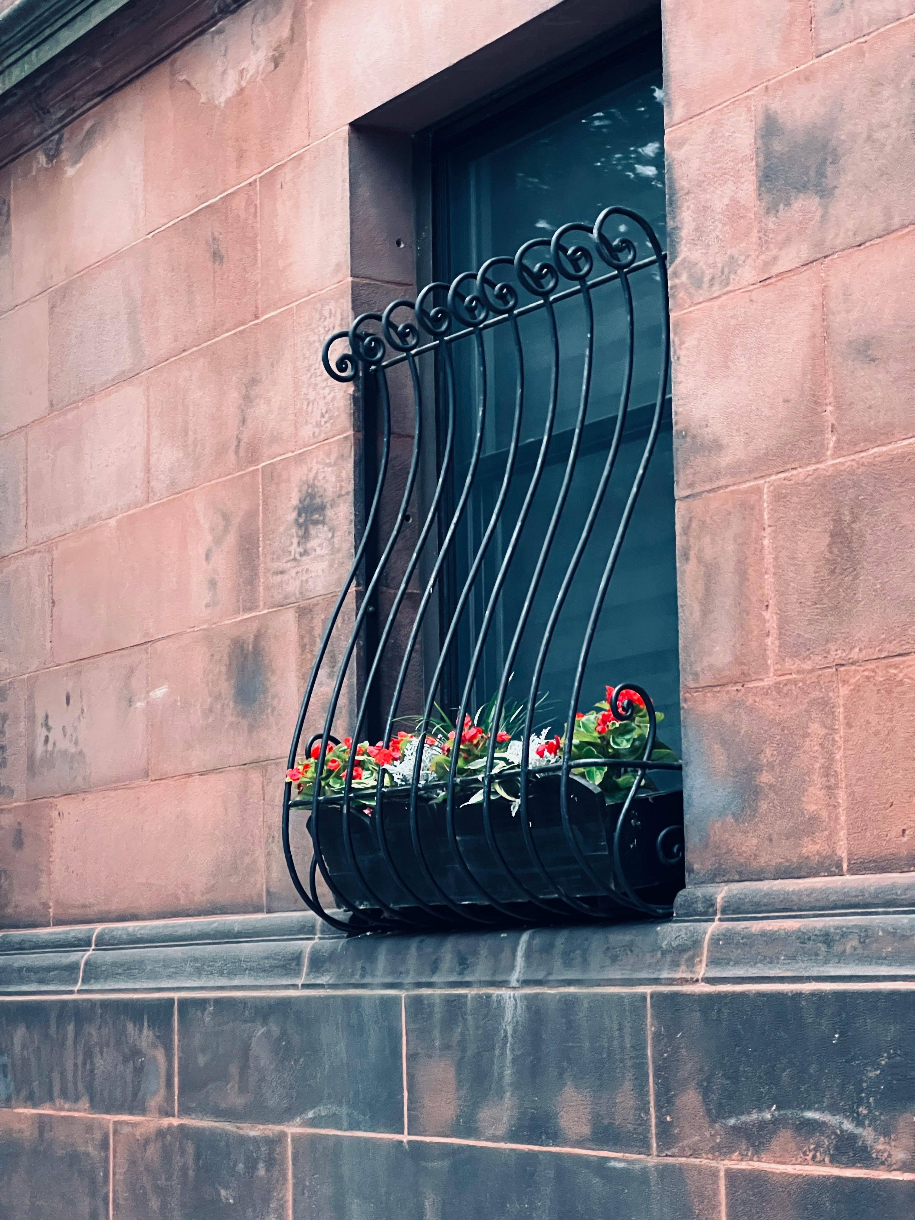 Asorted Flowers Photos, Download The BEST Free Asorted Flowers Stock ...