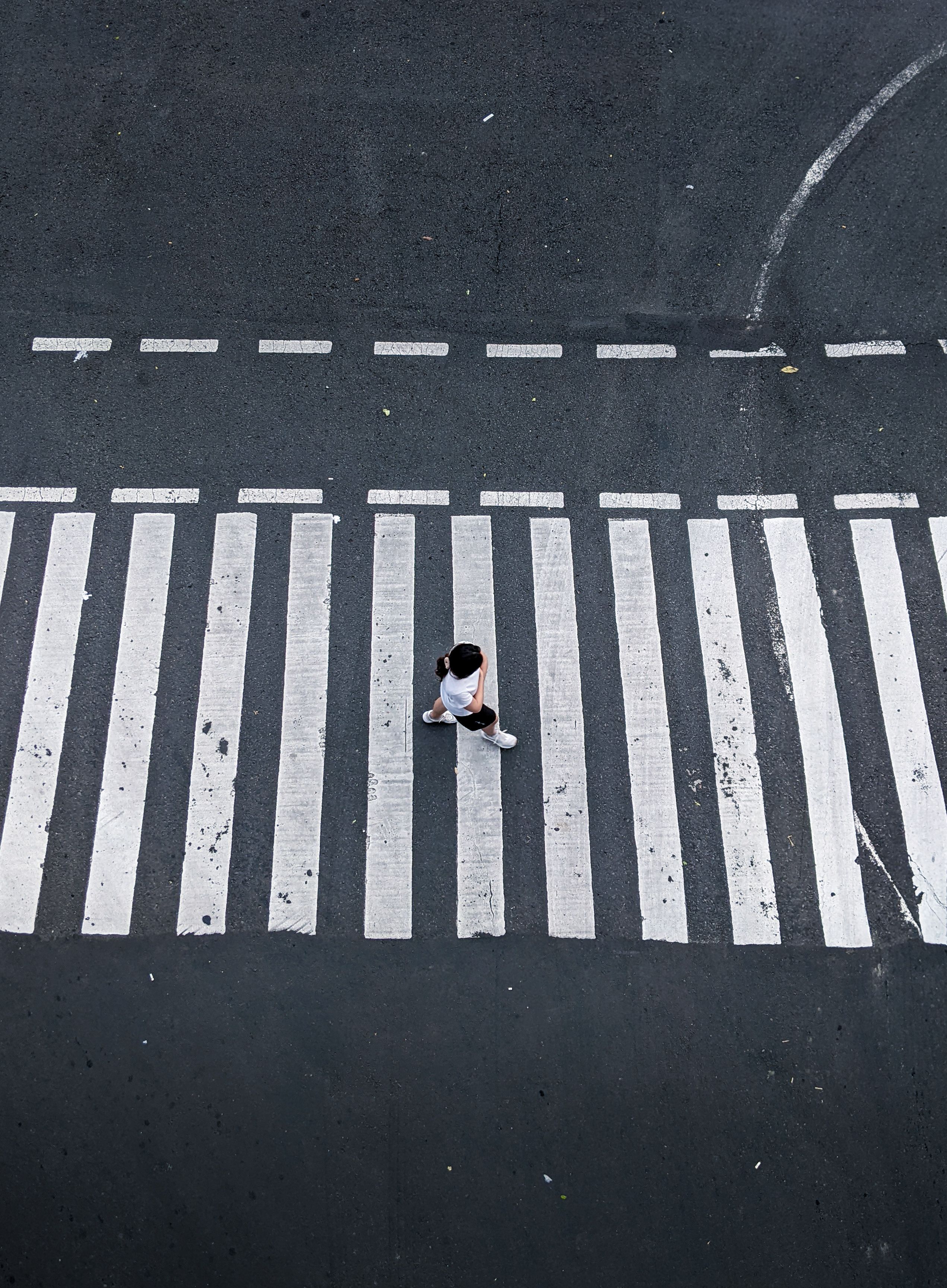People Crossing the Pedestrian Lane · Free Stock Photo