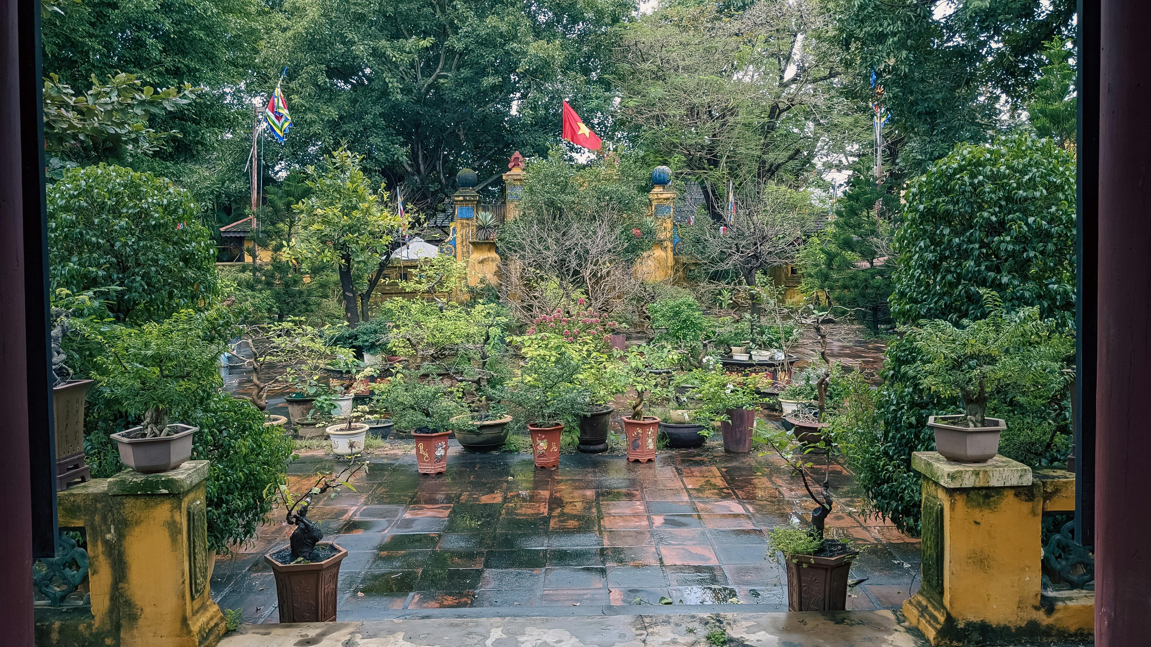 Polyamory Flag Photos, Download The BEST Free Polyamory Flag Stock ...