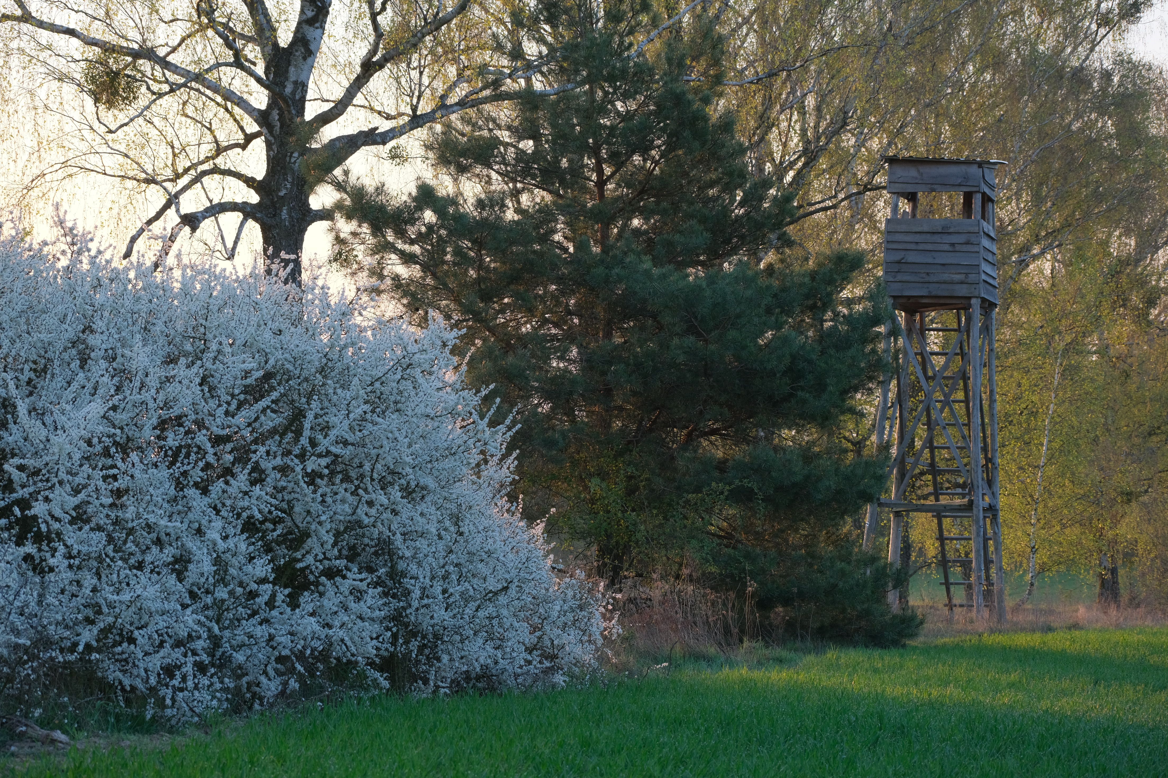 Watchtower Desktop Backgrounds Photos, Download The BEST Free ...