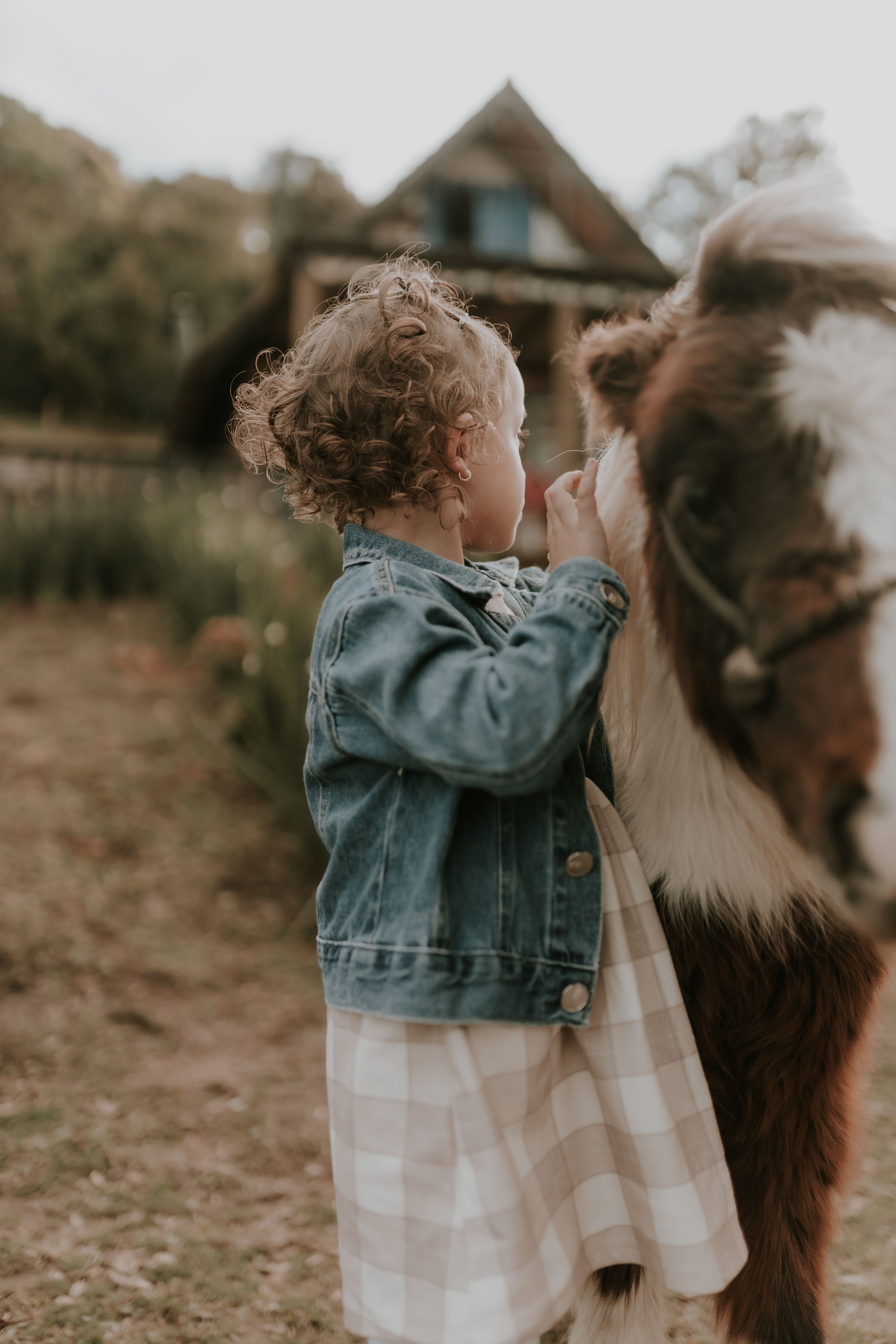 Child Interacting with Farm Animal Outdoors · Free Stock Photo