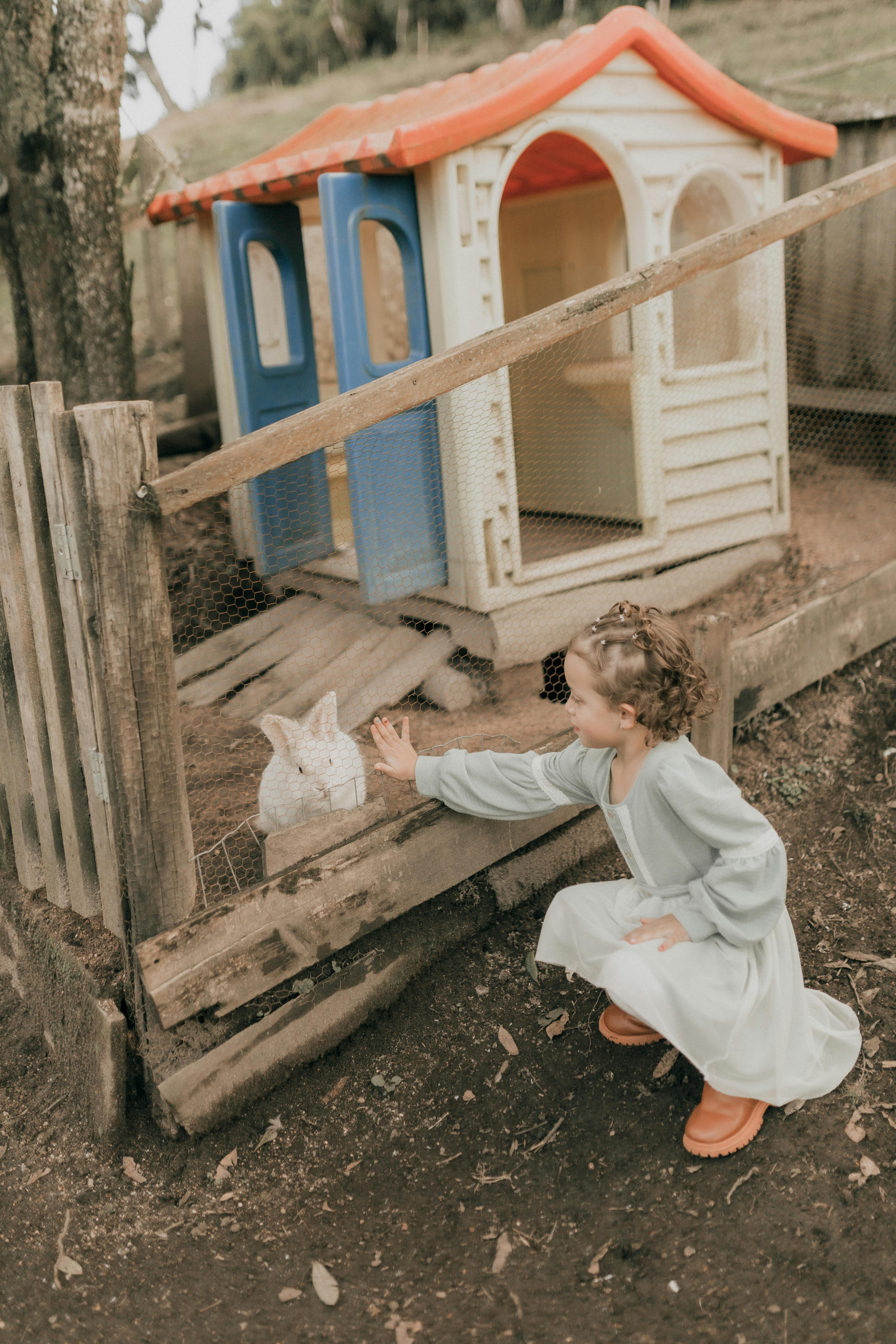 Compassion To Animals Photos, Download The BEST Free Compassion To ...