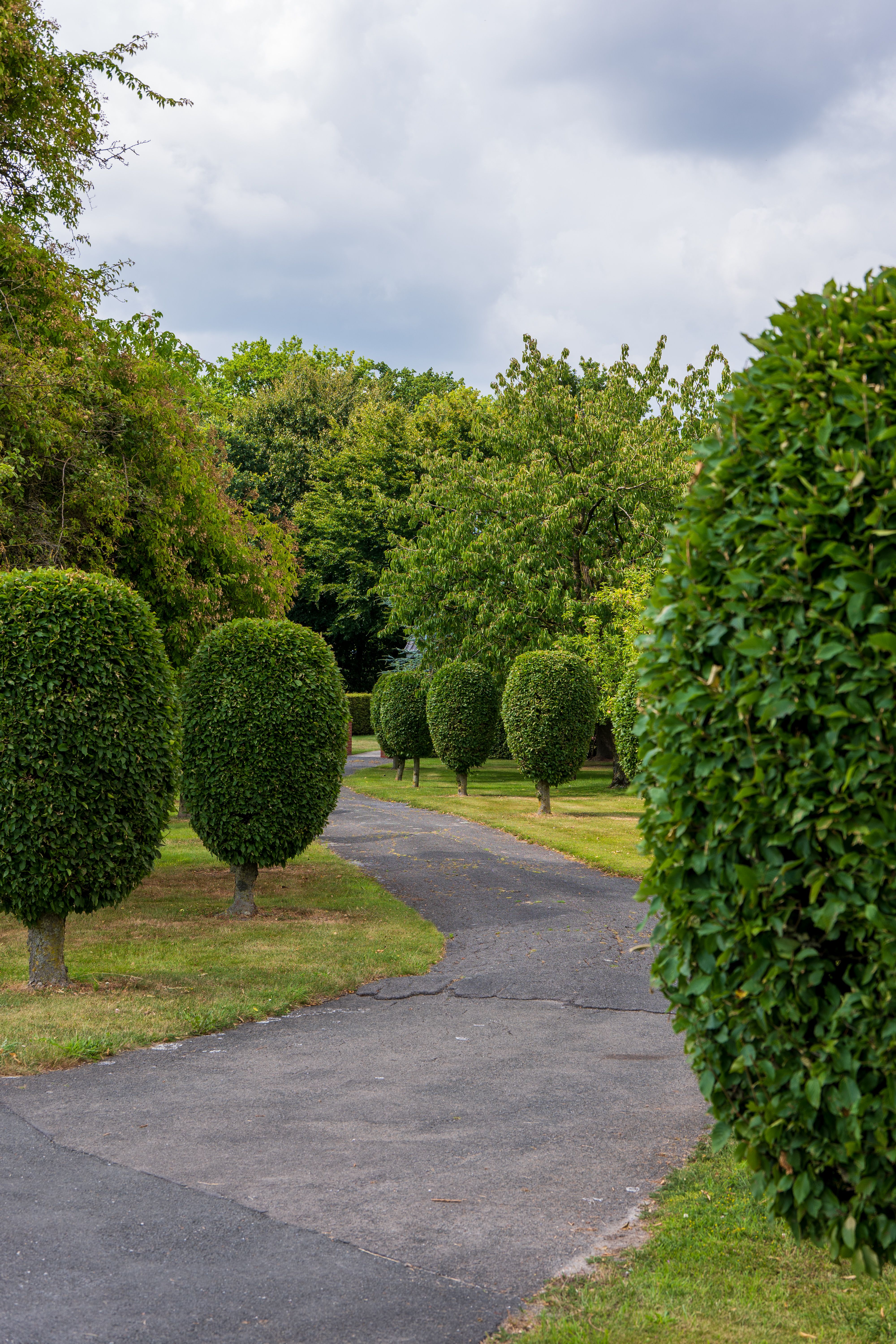 Serene Pathway Through Manicured Garden Trees · Free Stock Photo