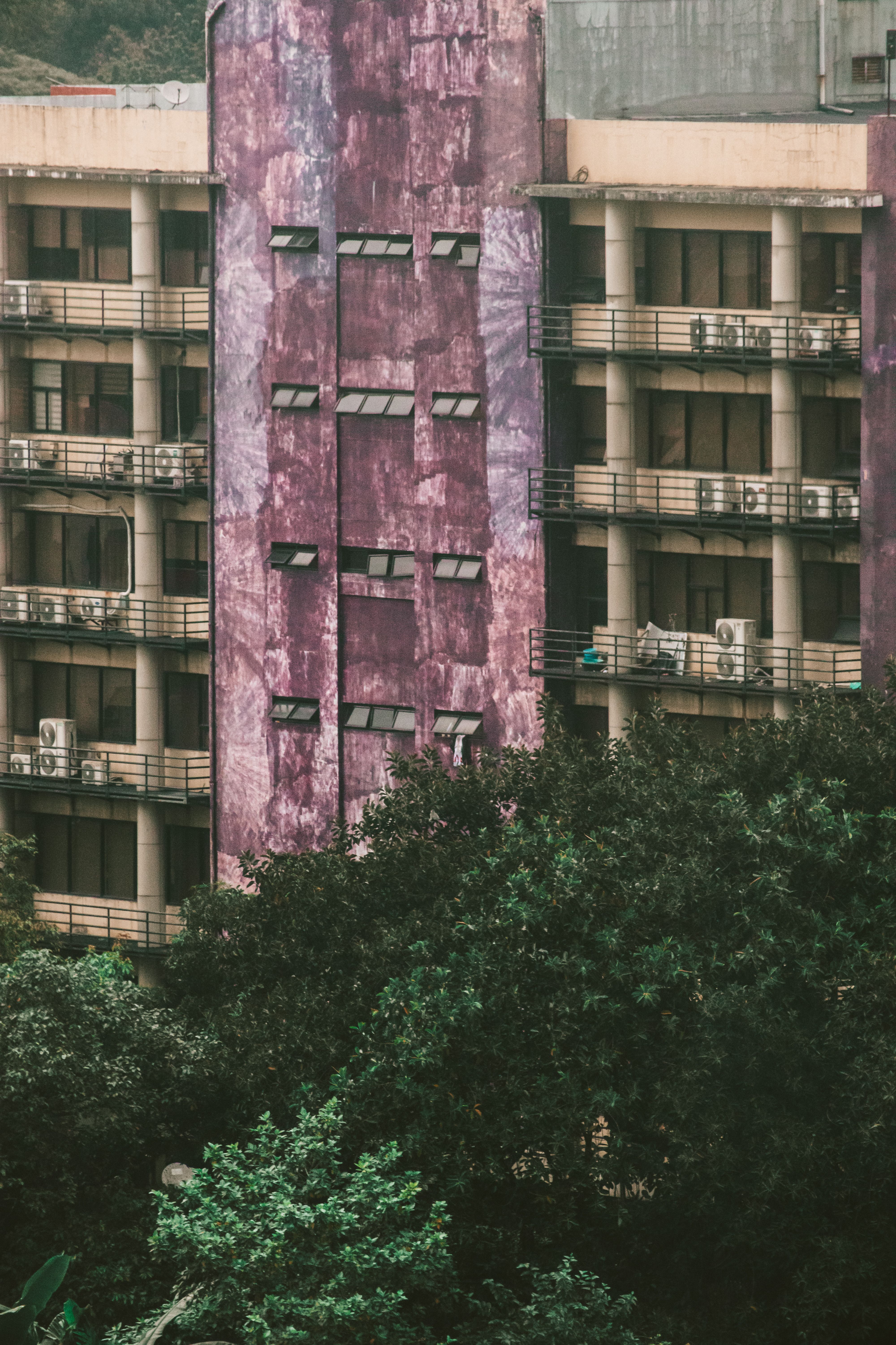 Vibrant Purple Building Facade with Lush Greenery · Free Stock Photo