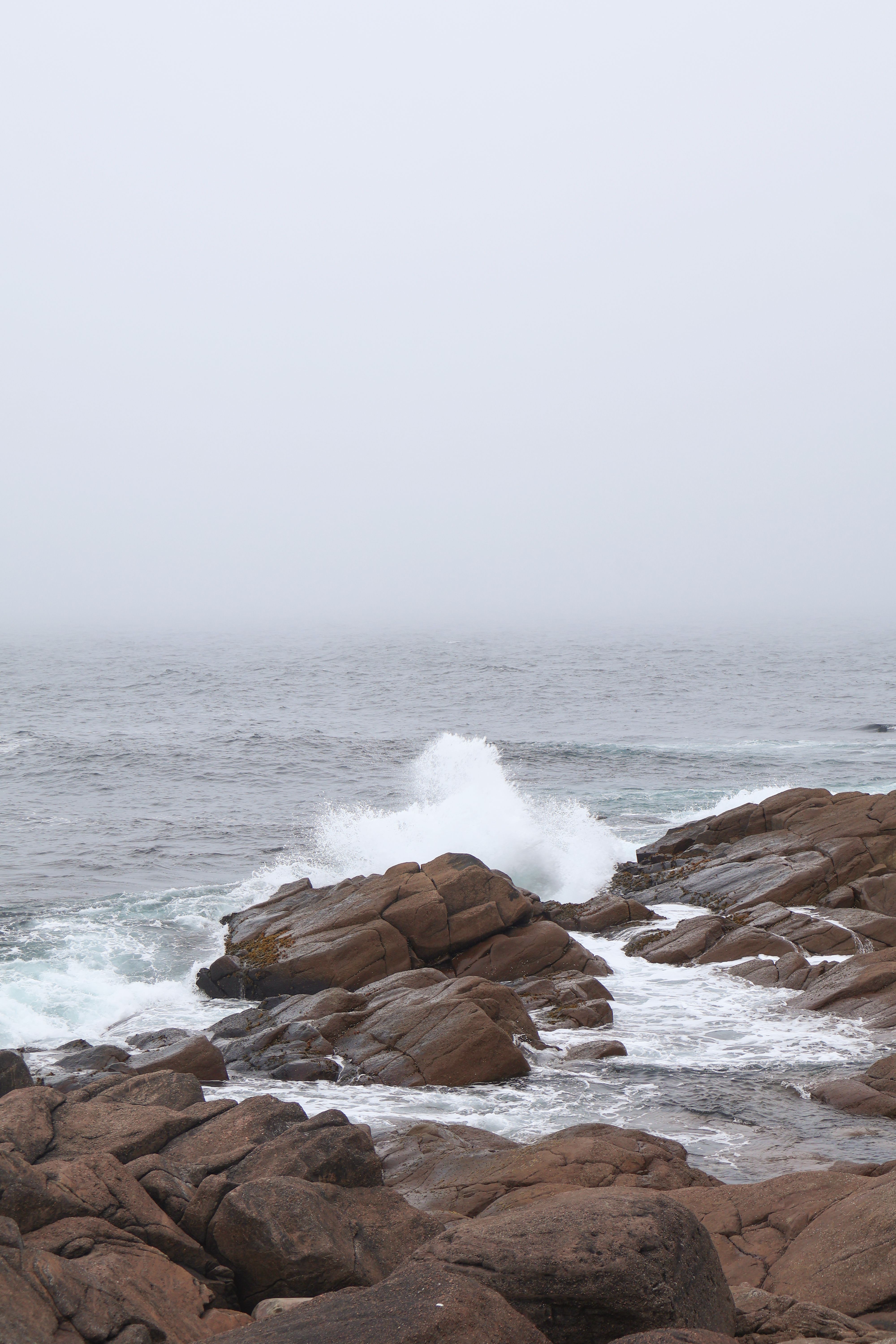Moody Coastal Rocks in Newfoundland, Canada · Free Stock Photo