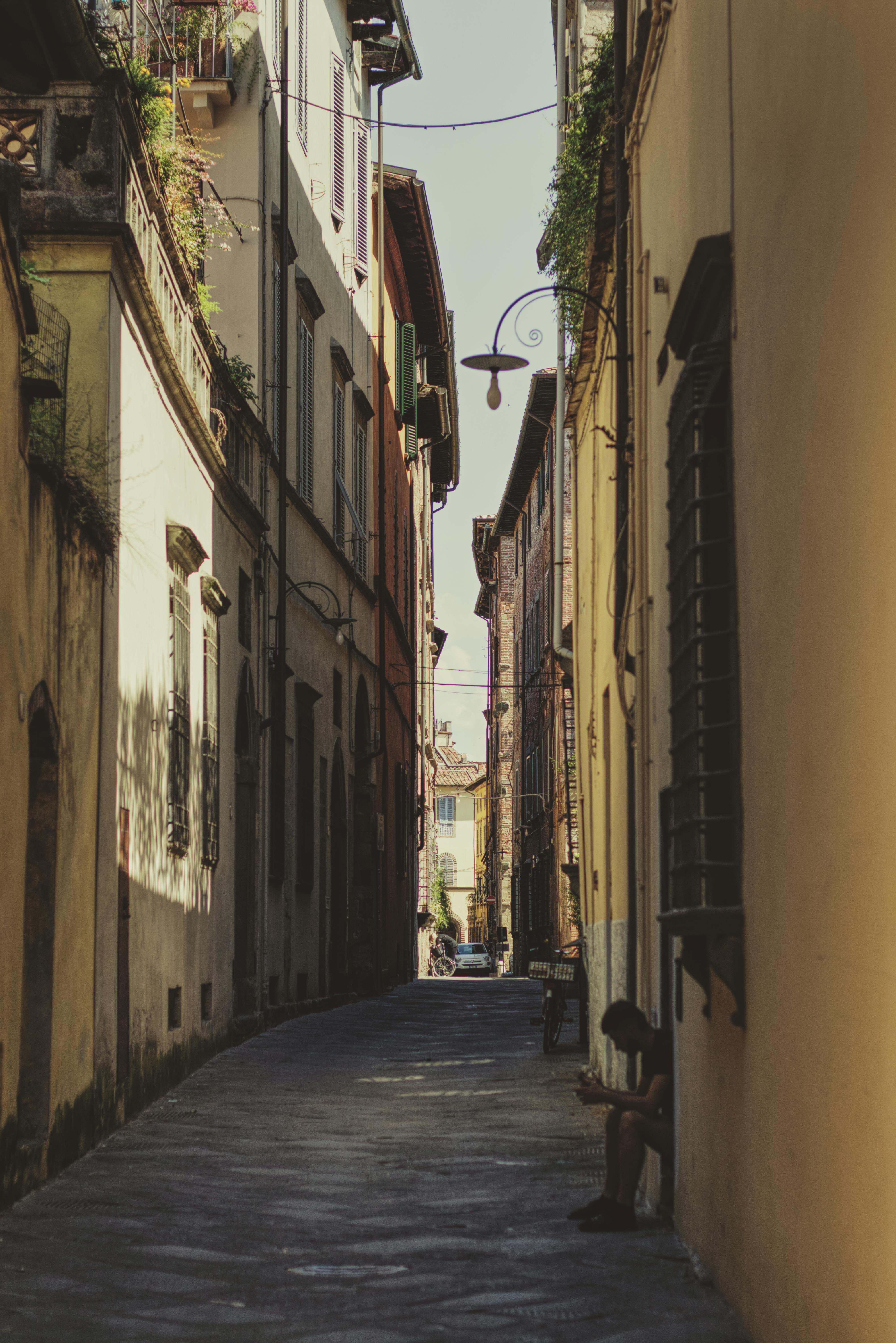 Enchanted Photos, Download The BEST Free Enchanted Stock Photos & HD Images