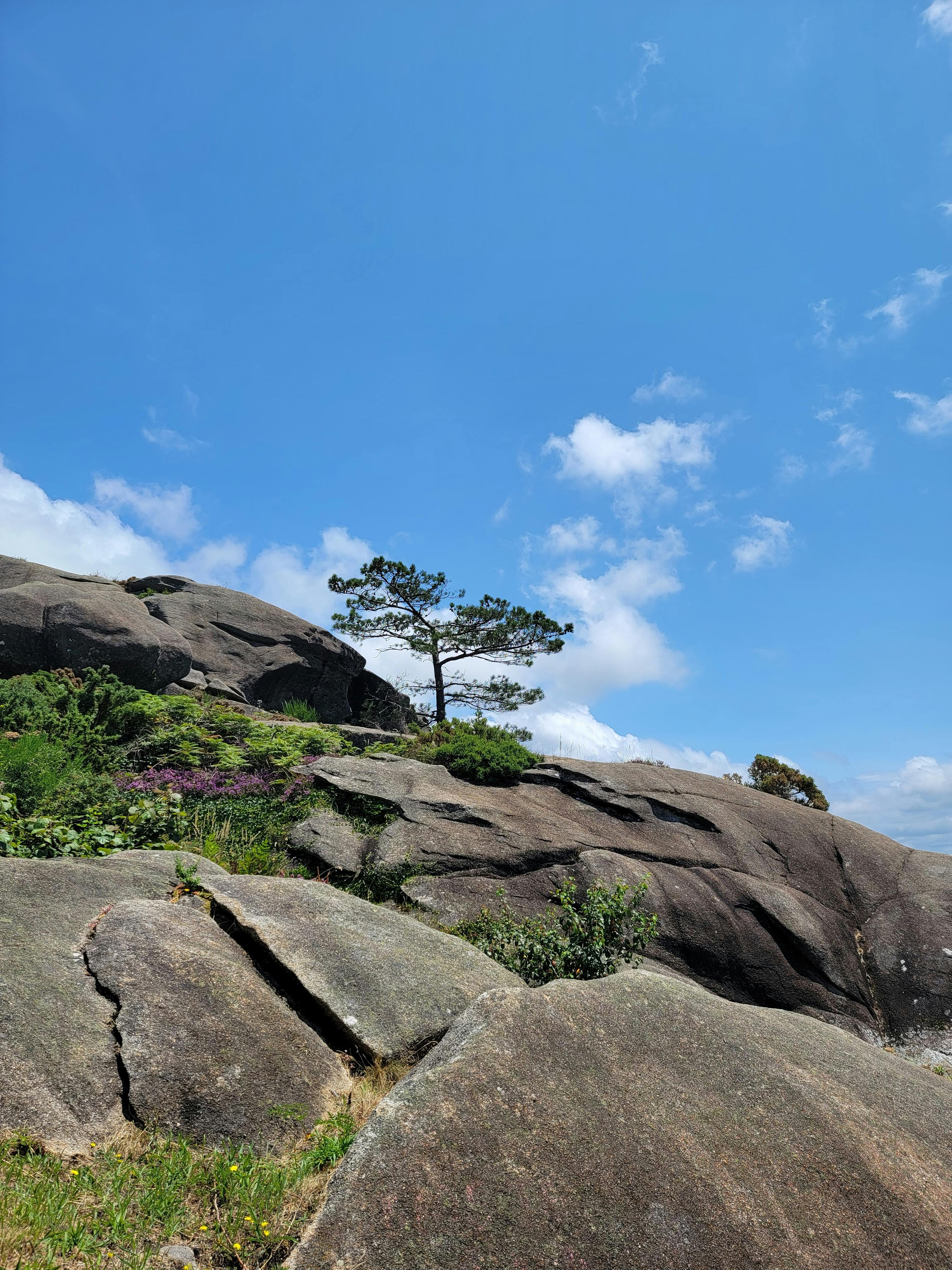 Mega Boulders Photos, Download The BEST Free Mega Boulders Stock Photos ...