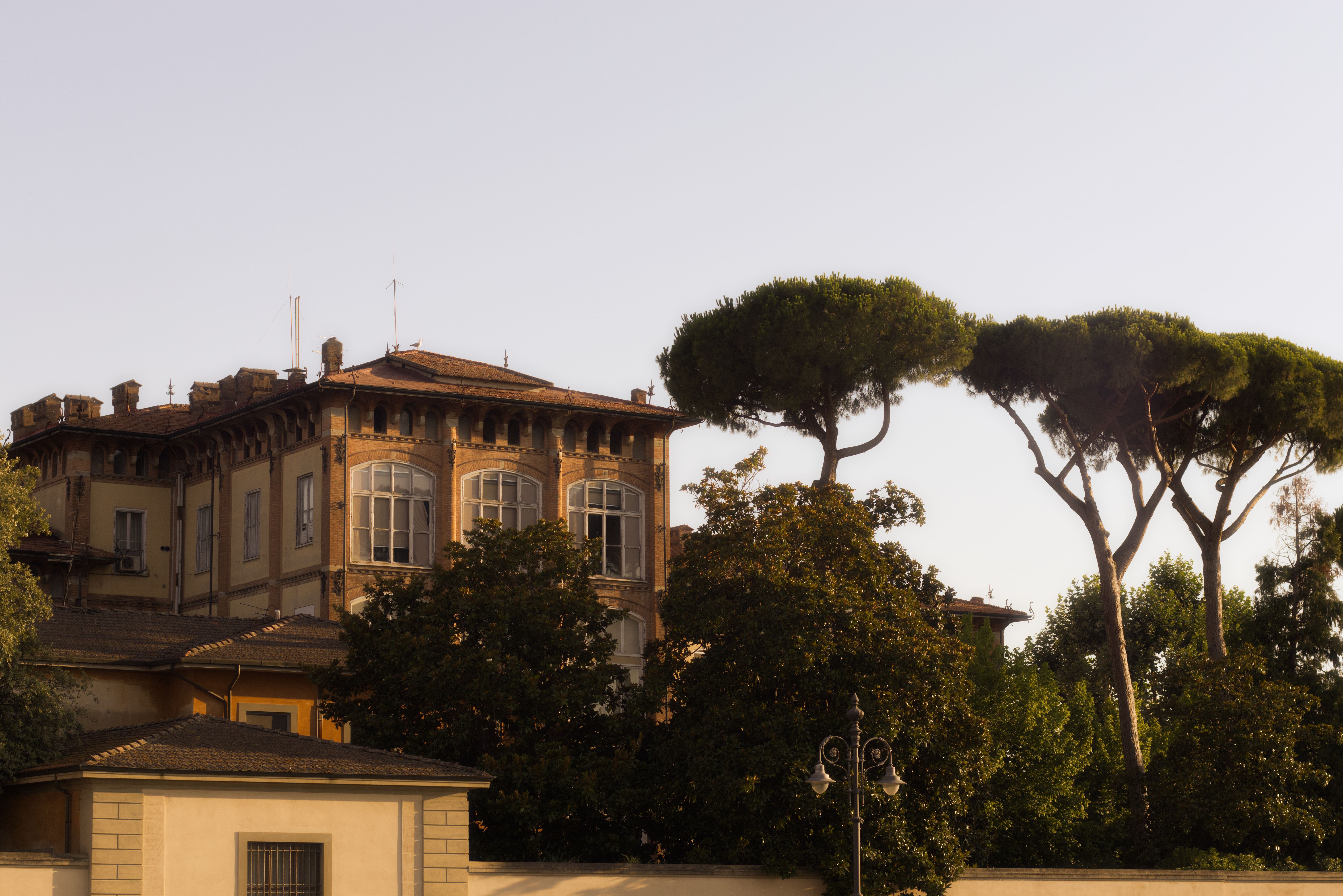 Historic Villa in Pisa with Unique Trees · Free Stock Photo