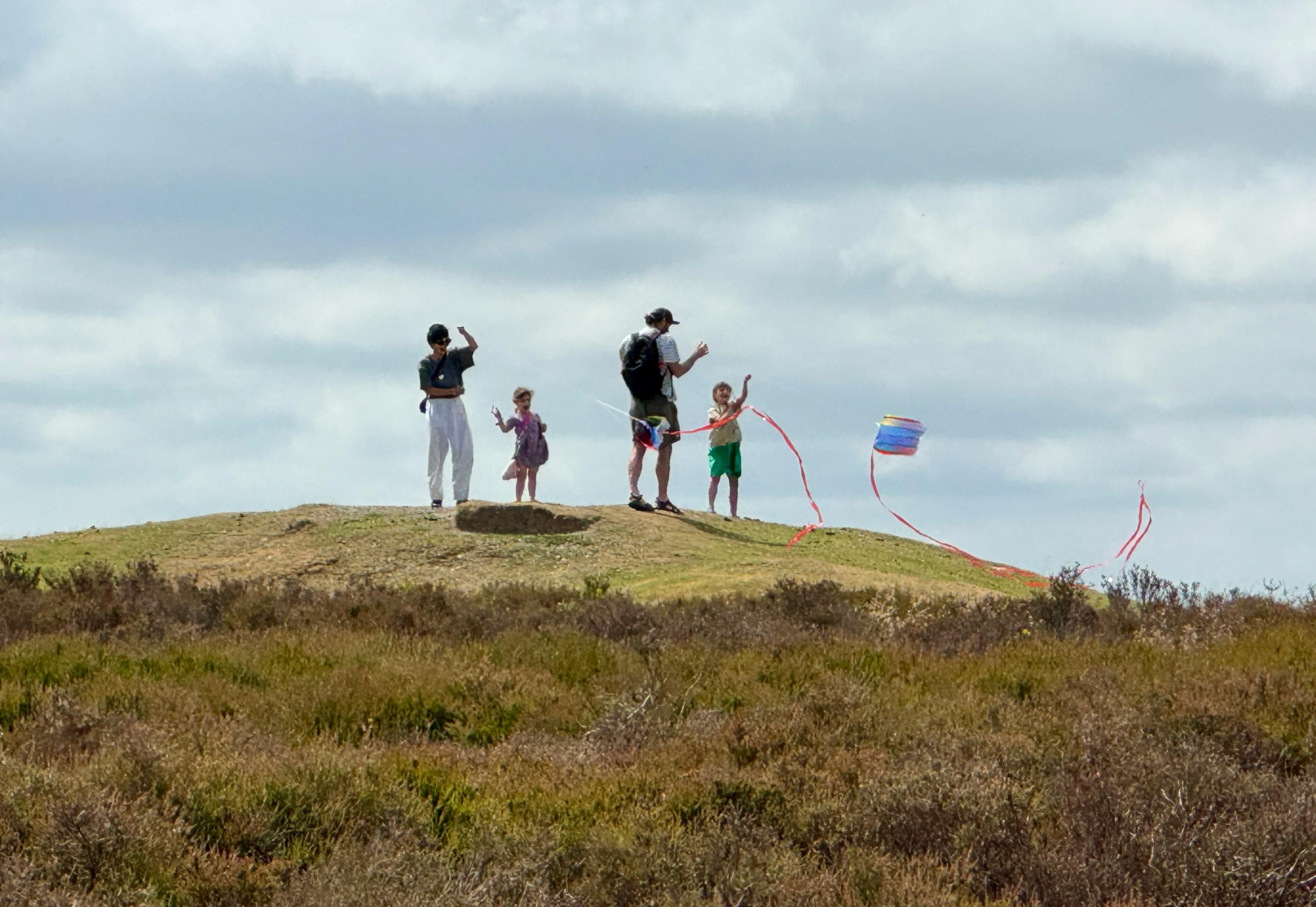 Open Source Photos, Download The BEST Free Open Source Stock Photos ...