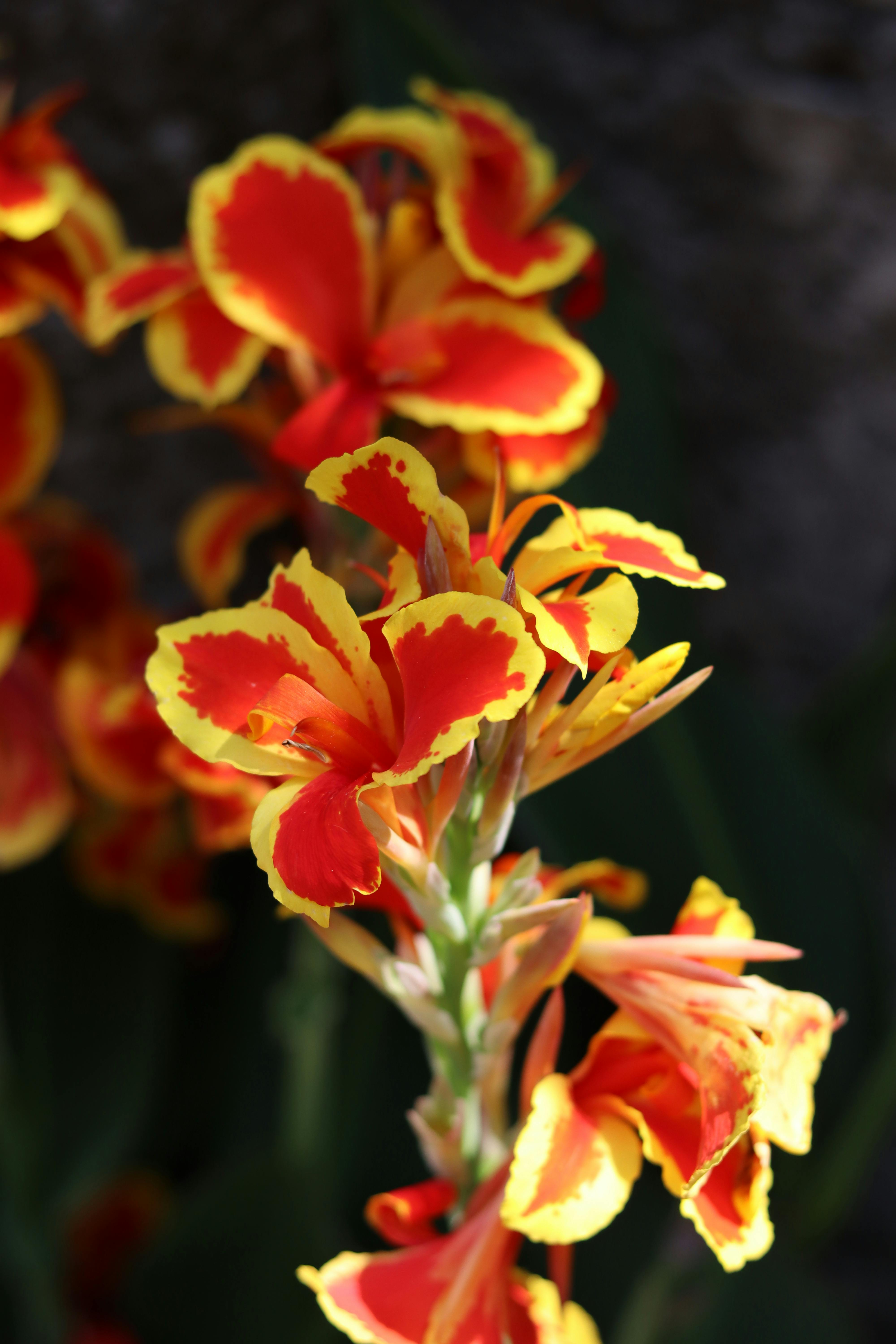 1920 X 480 Photos, Download The BEST Free 1920 X 480 Stock Photos & HD ...