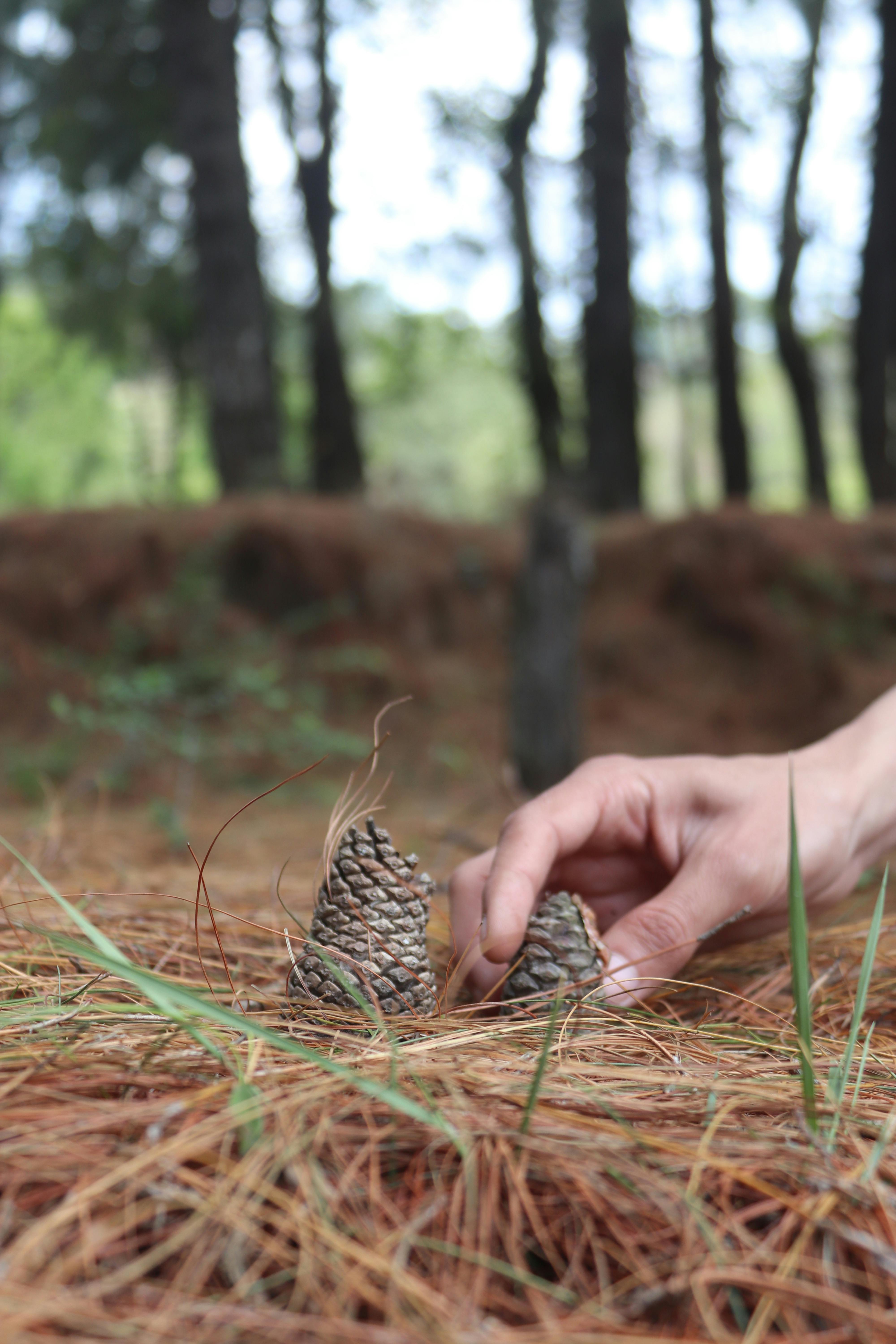 Skin Landscape Photos, Download The BEST Free Skin Landscape Stock ...