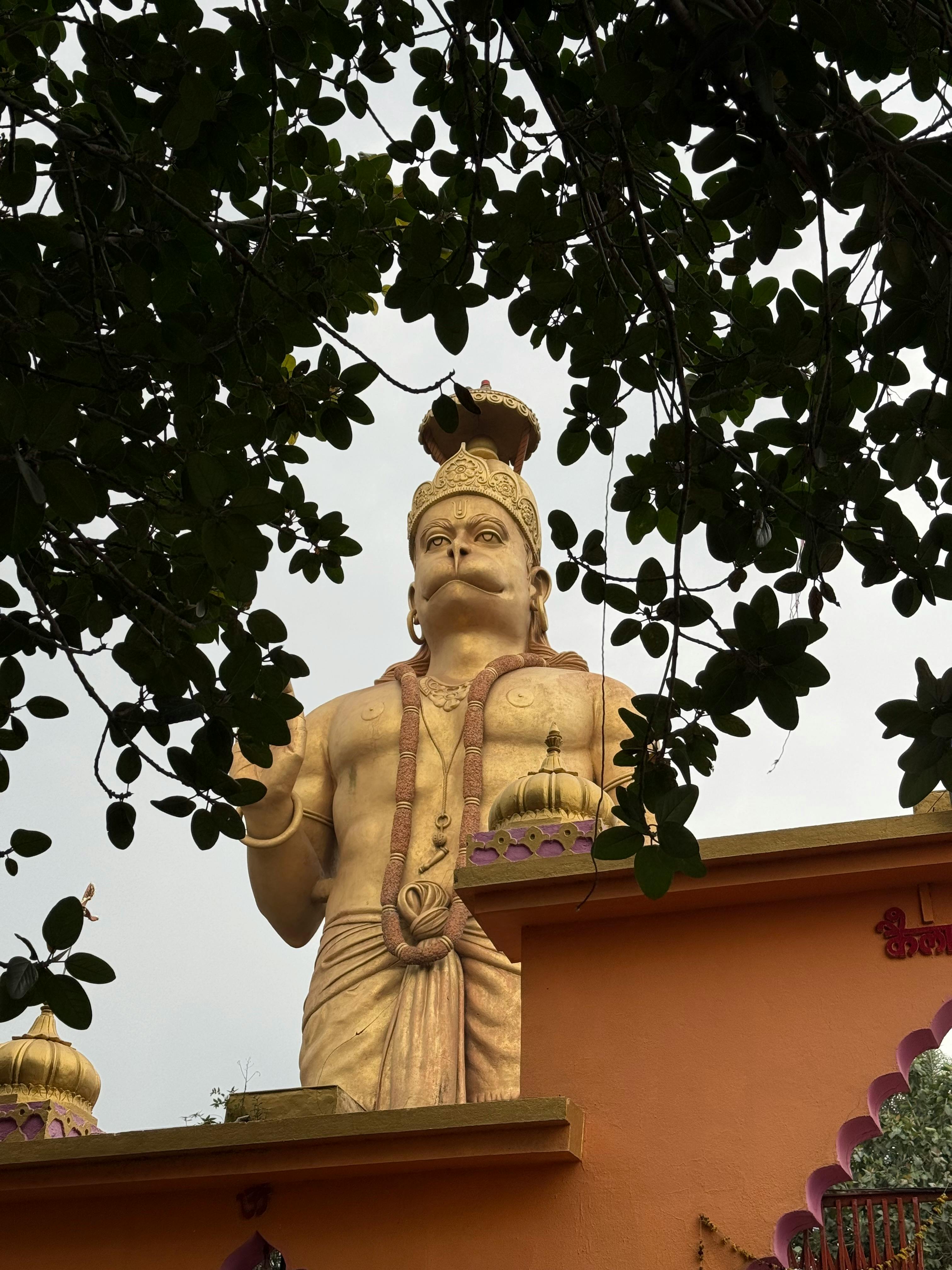Majestic Hanuman Statue Under Tree Canopy · Free Stock Photo