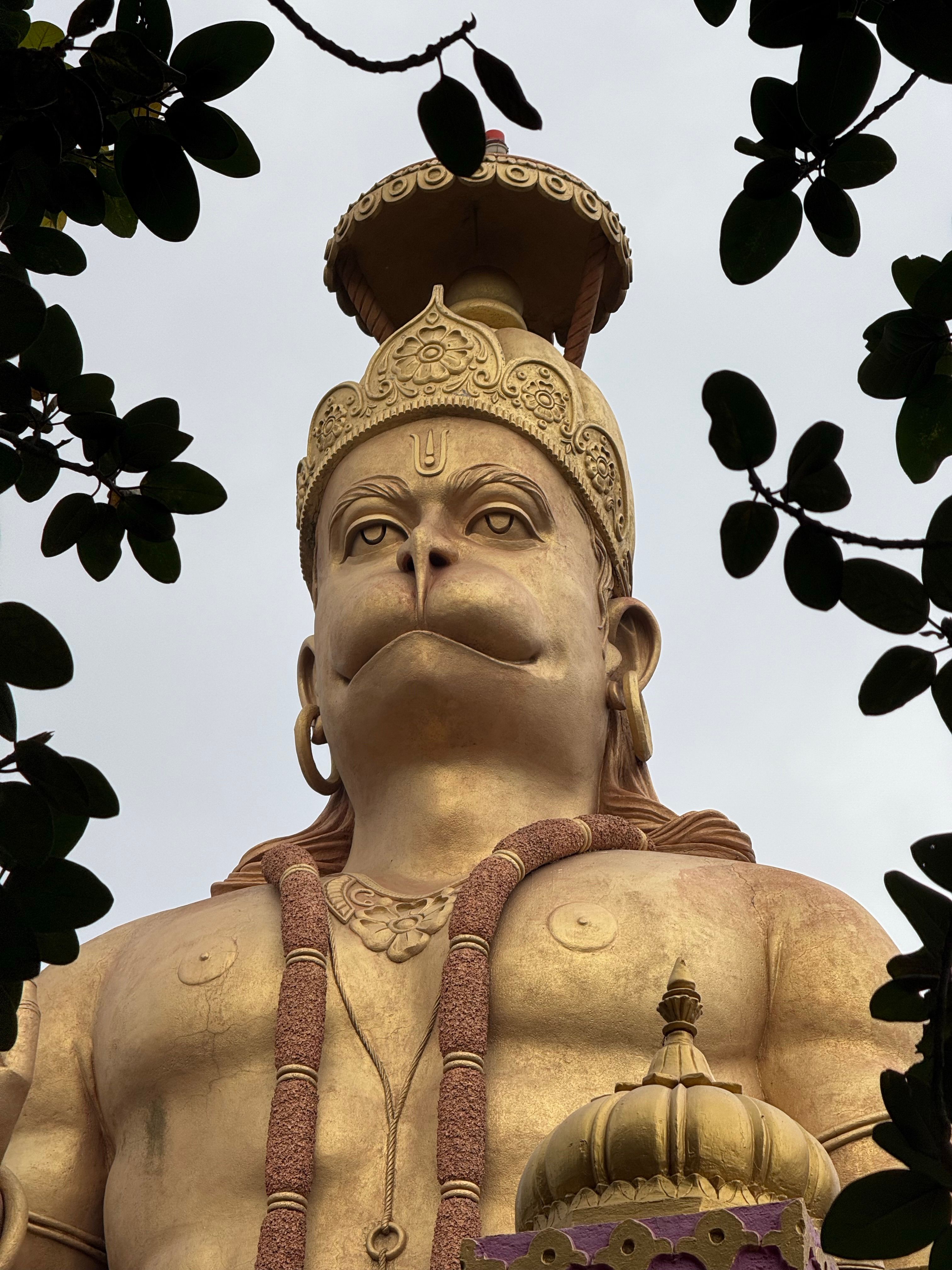 Majestic Hanuman Statue Under Tree Canopy · Free Stock Photo