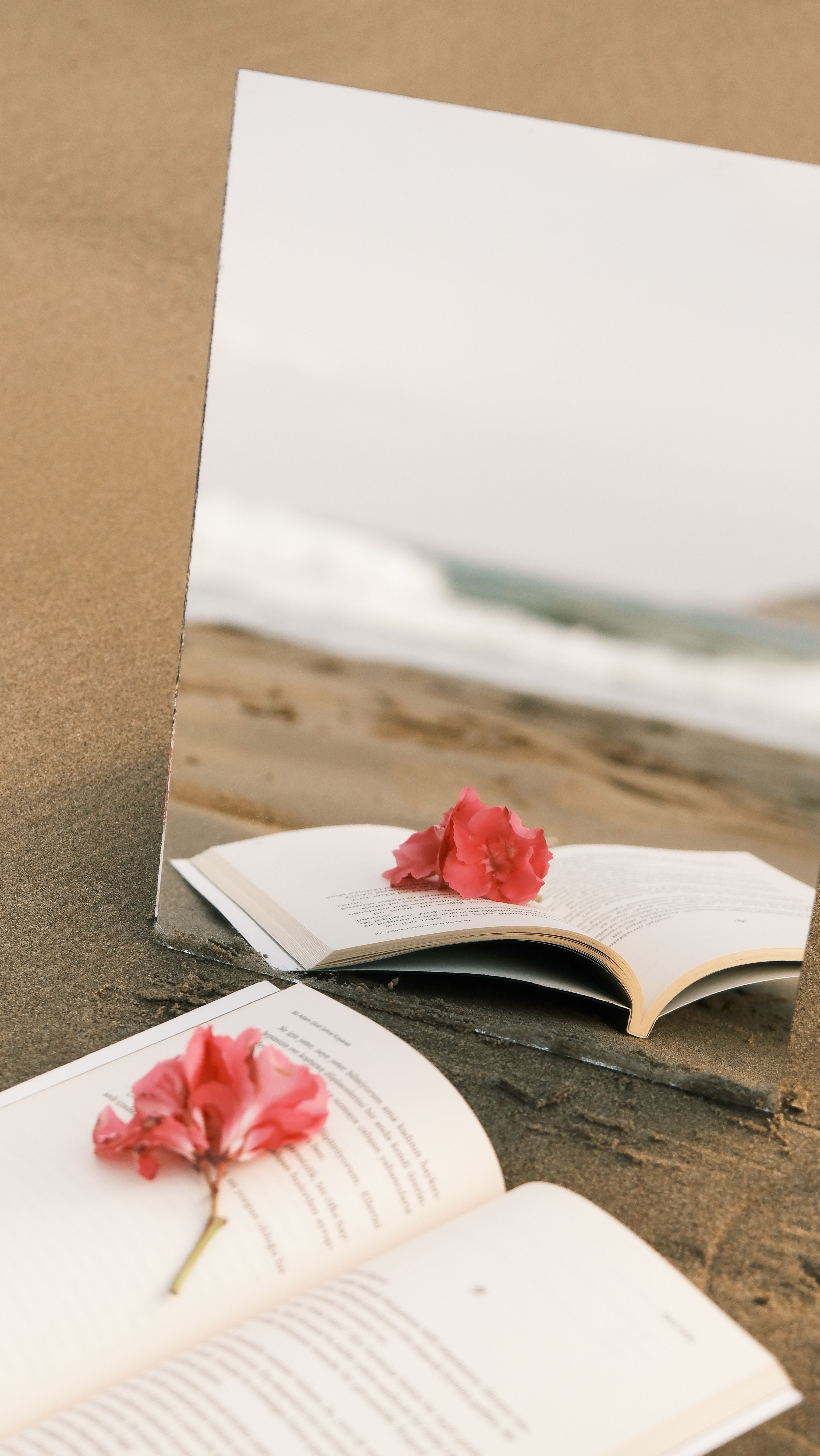 Artistic Mirror Reflection on Beach with Book and Flower · Free Stock Photo
