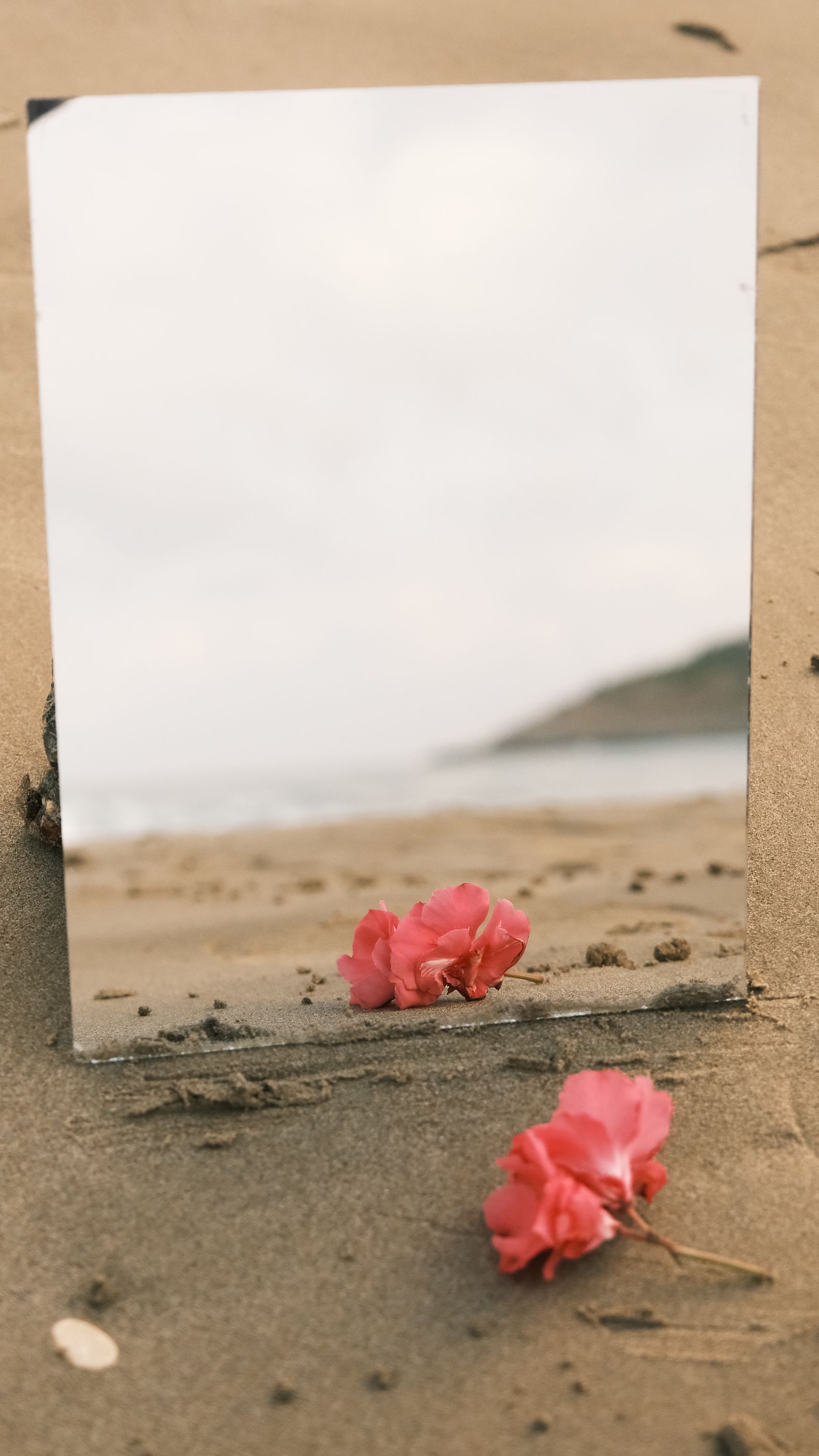 Late Spring Beach Photos, Download The BEST Free Late Spring Beach ...