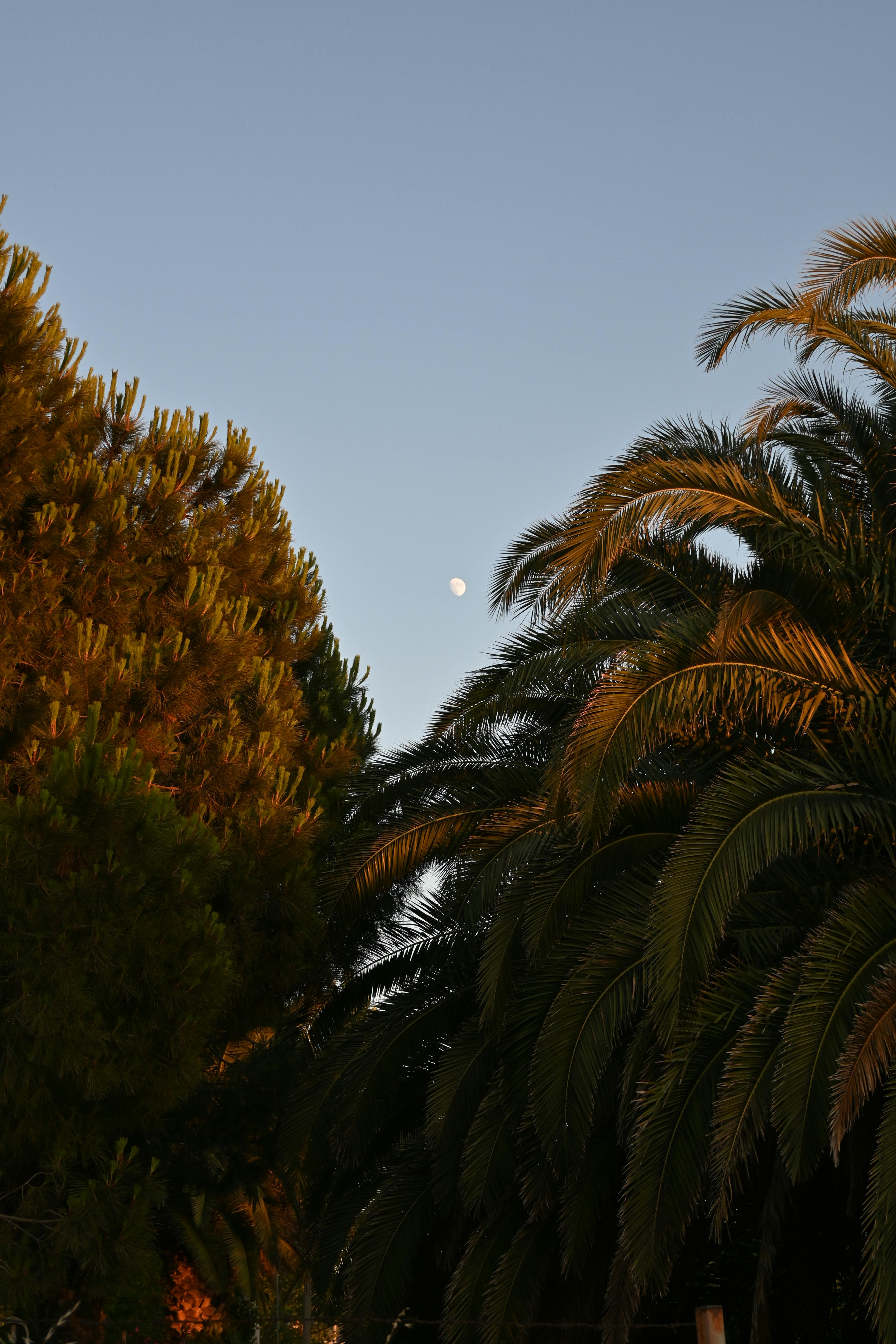 Earth View From Moon Photos, Download The BEST Free Earth View From ...