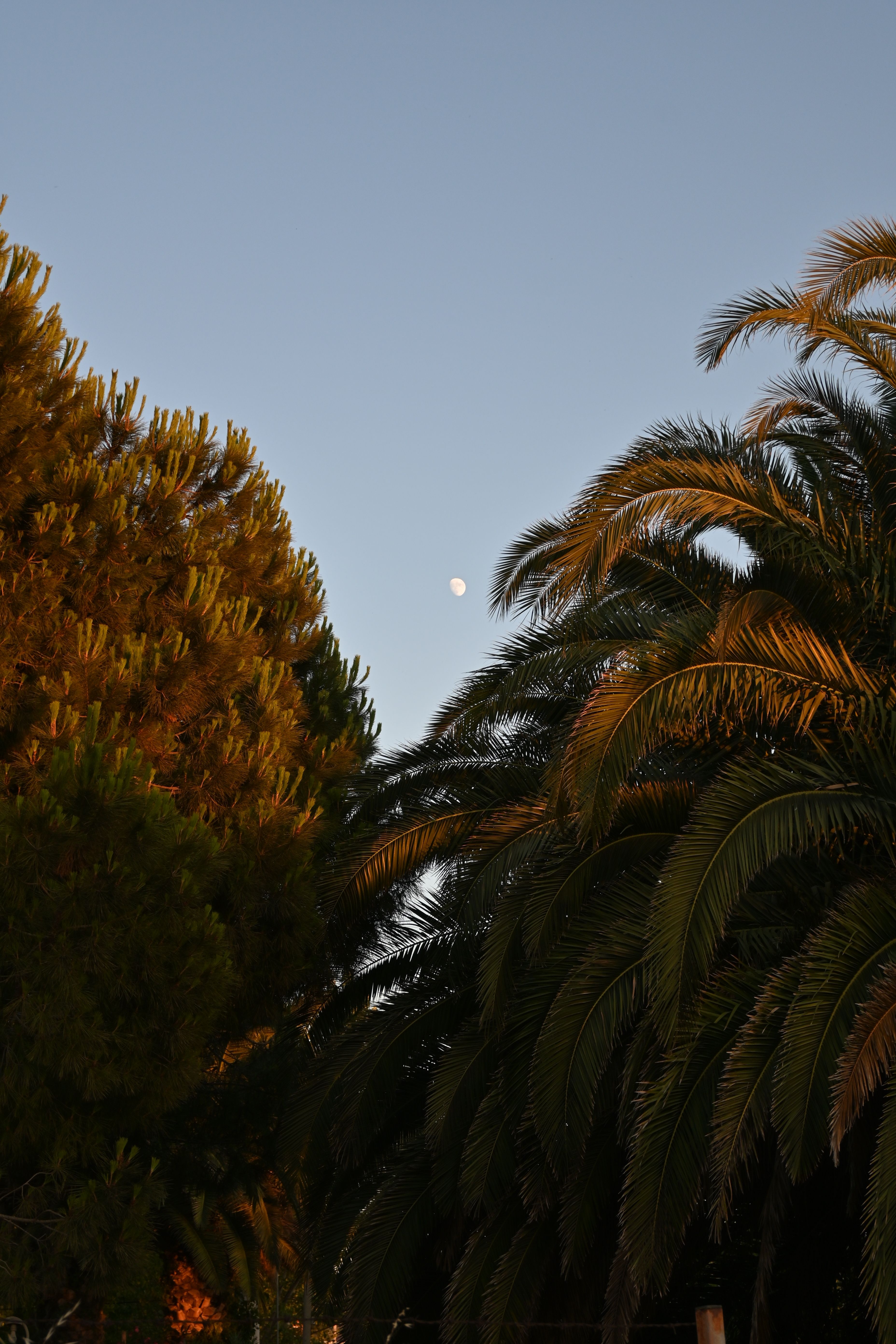 Moon Background Landscape Photos, Download The BEST Free Moon ...