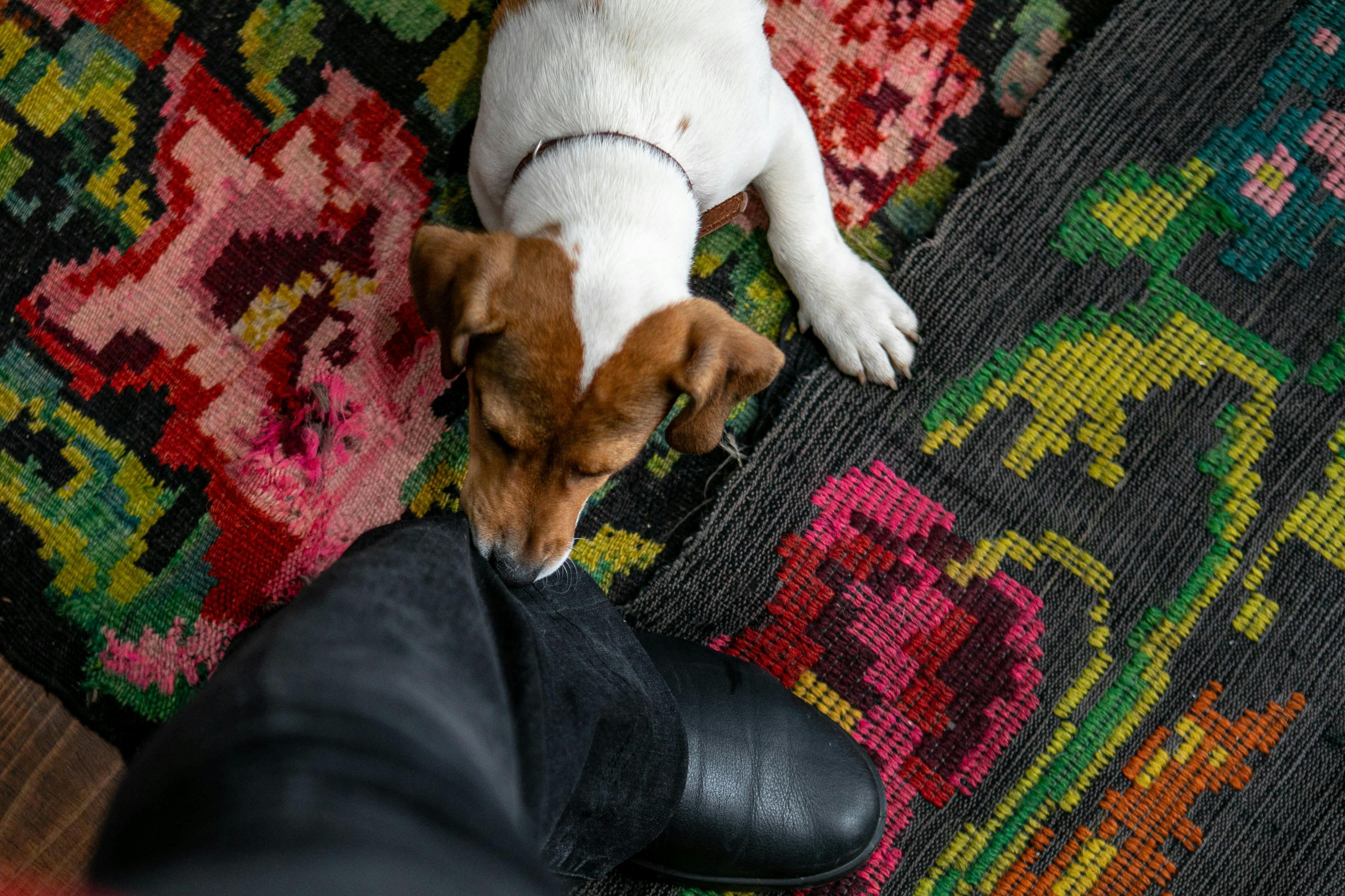 Best+Cute+Traps+Gallery Photos, Download The BEST Free Best+Cute+Traps ...