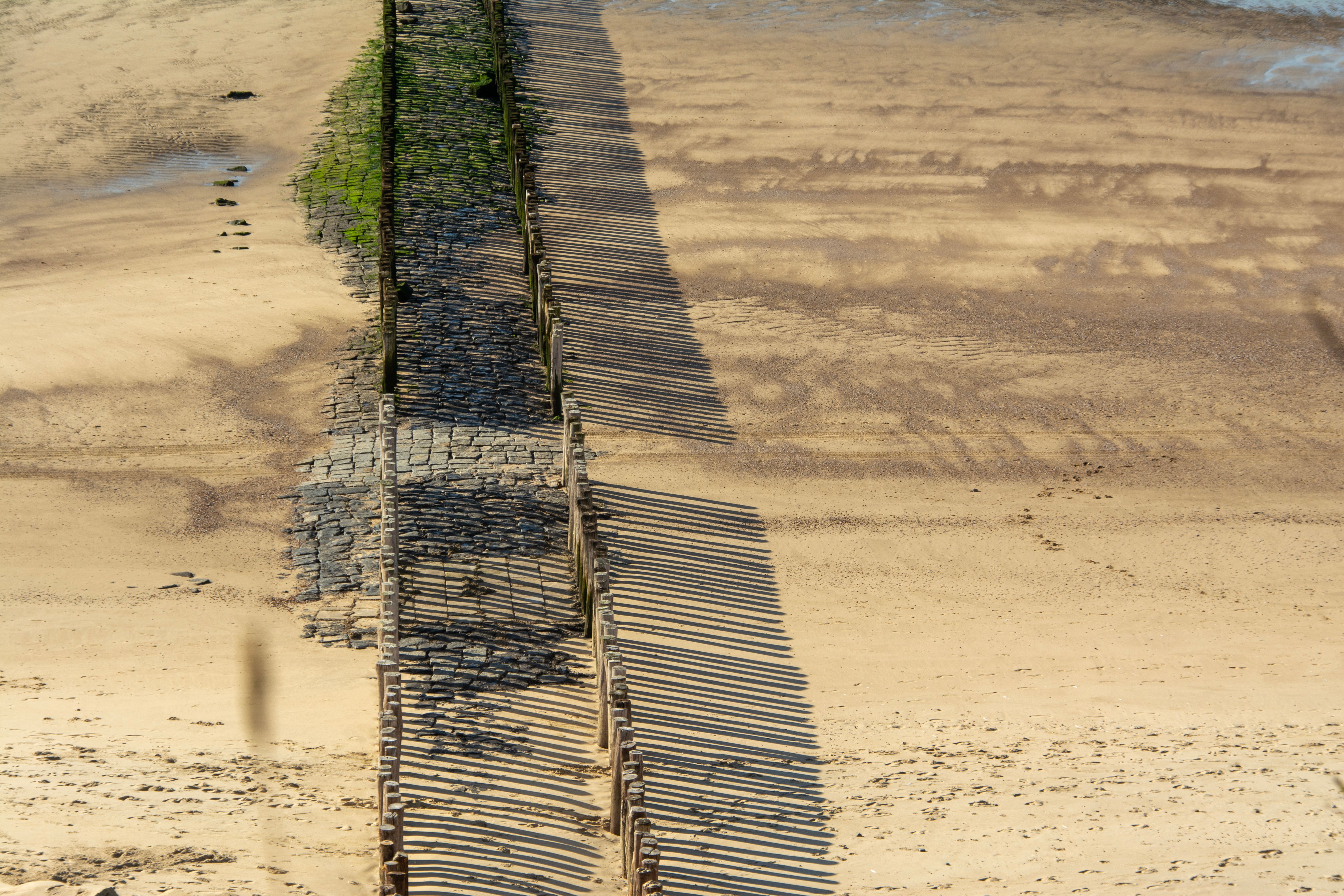 Serene Beach with Weathered Wooden Pilings · Free Stock Photo