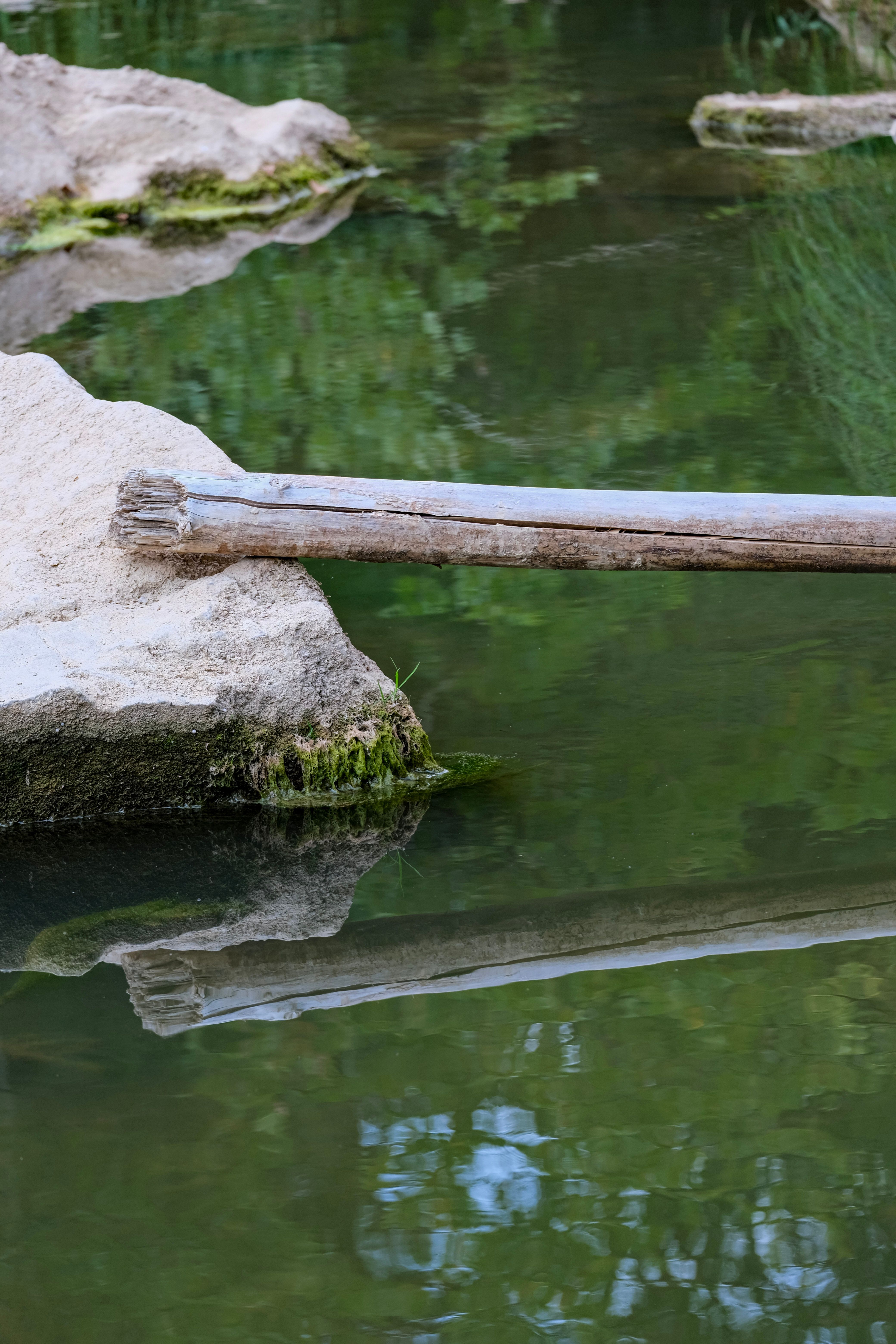 Serene Natural Pond with Rock Reflections · Free Stock Photo