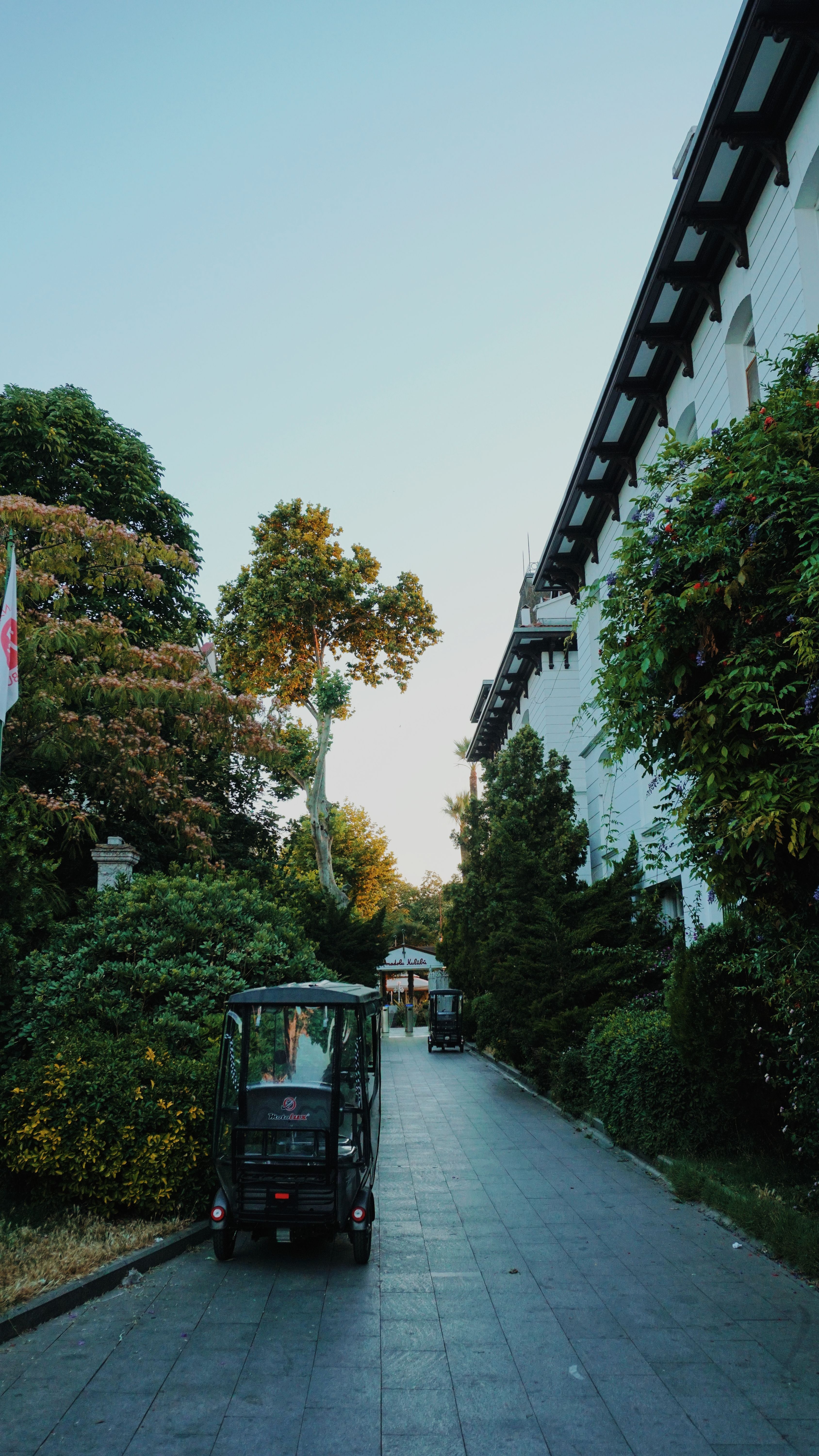 Elegant Hotel Facade with Lush Garden Pathway · Free Stock Photo