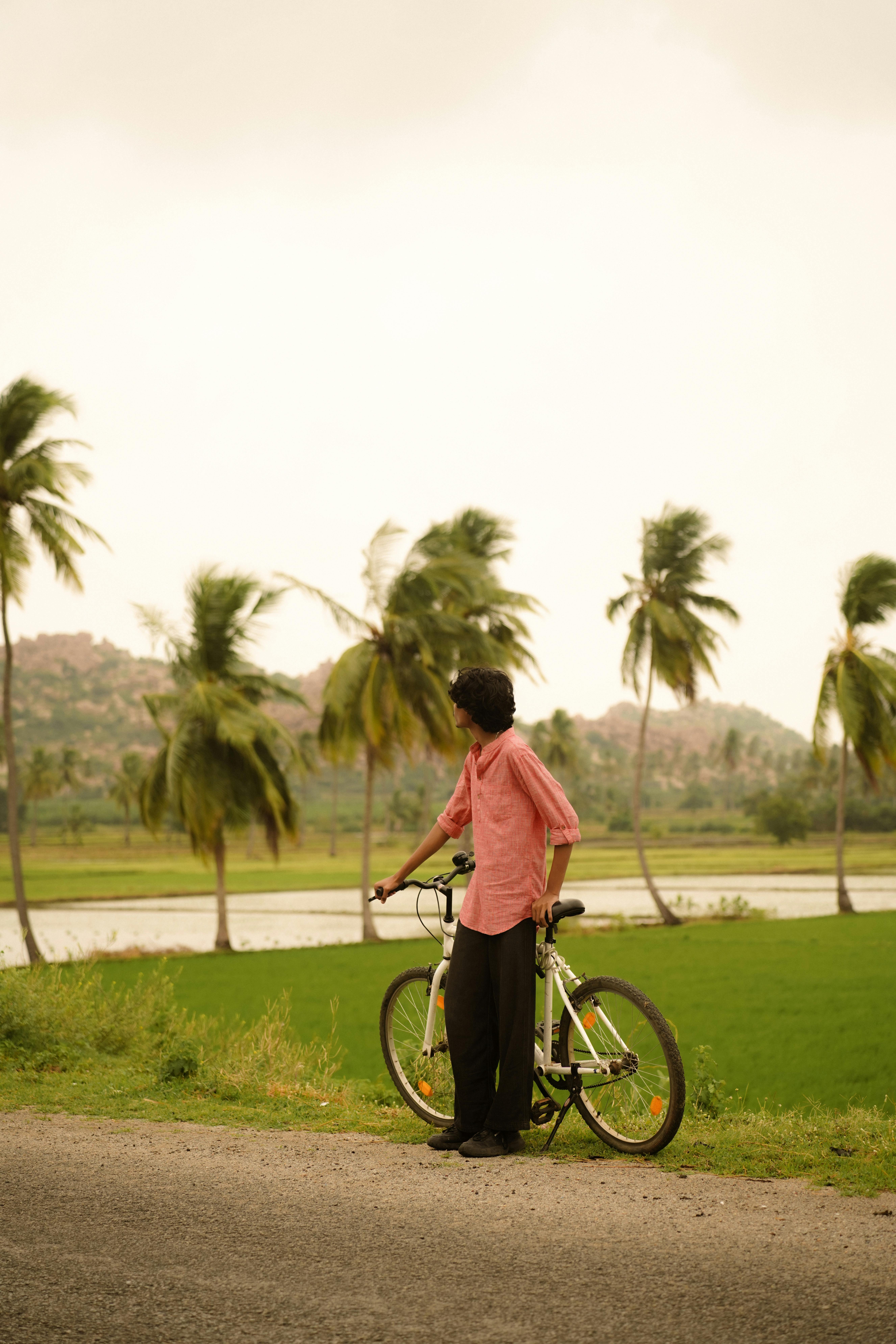 Cong View Ngua Photos, Download The BEST Free Cong View Ngua Stock ...