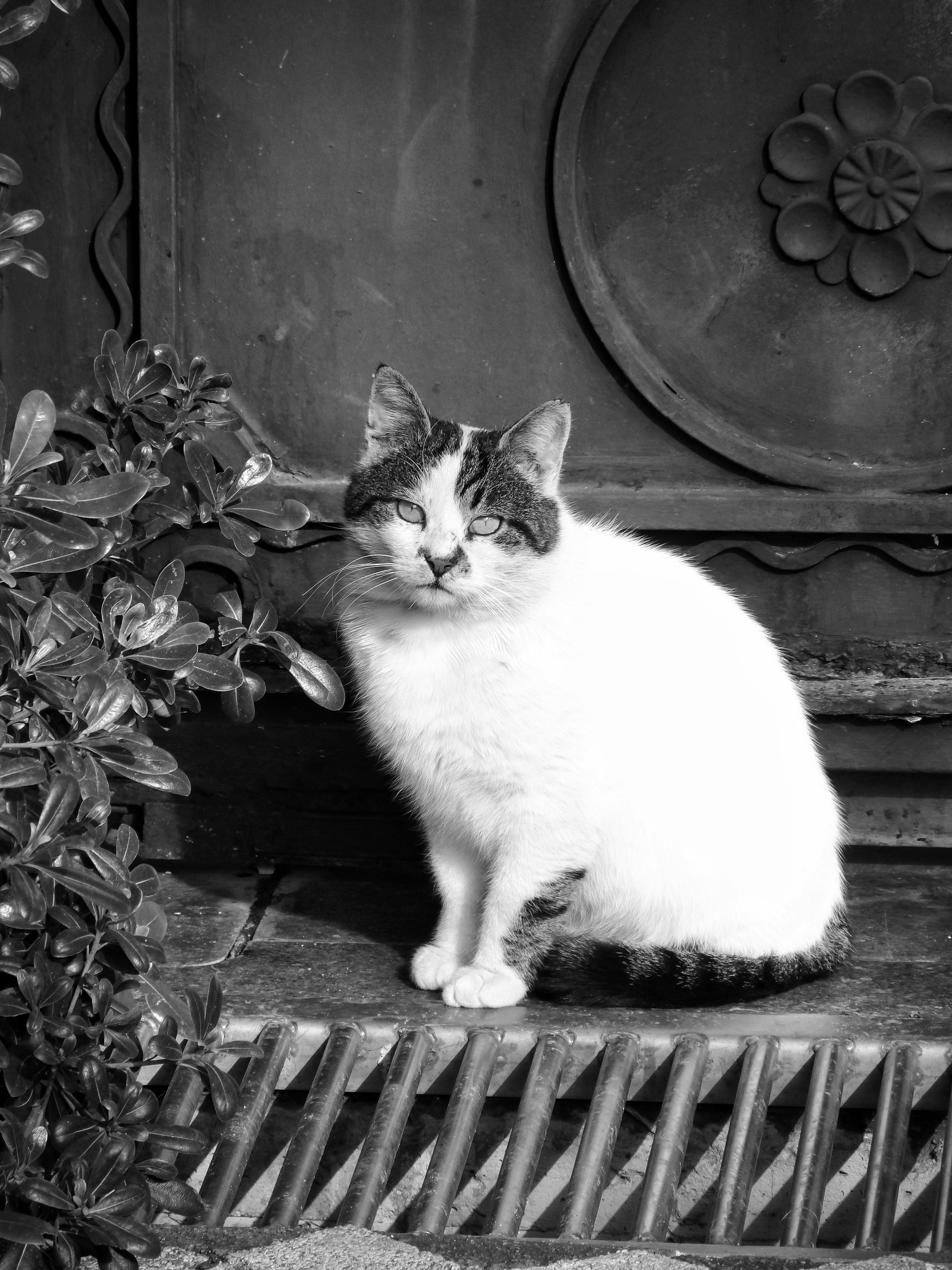 2陈12345+Abc的啊吧一天2陈12345+Abc的啊吧一天、12345+Abc的啊按不出啊才按不出吧一天 Photos, Download The BEST Free 2陈12345 ...